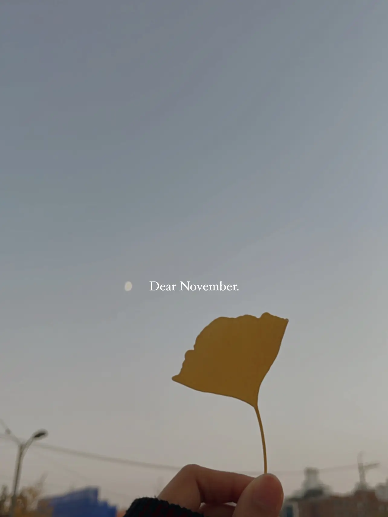 DEAR NOVEMBER 🍁 เกาหลีในฤดูใบไม้ร่วง (가을) | แกลเลอรีที่โพสต์โดย npsn.s ...