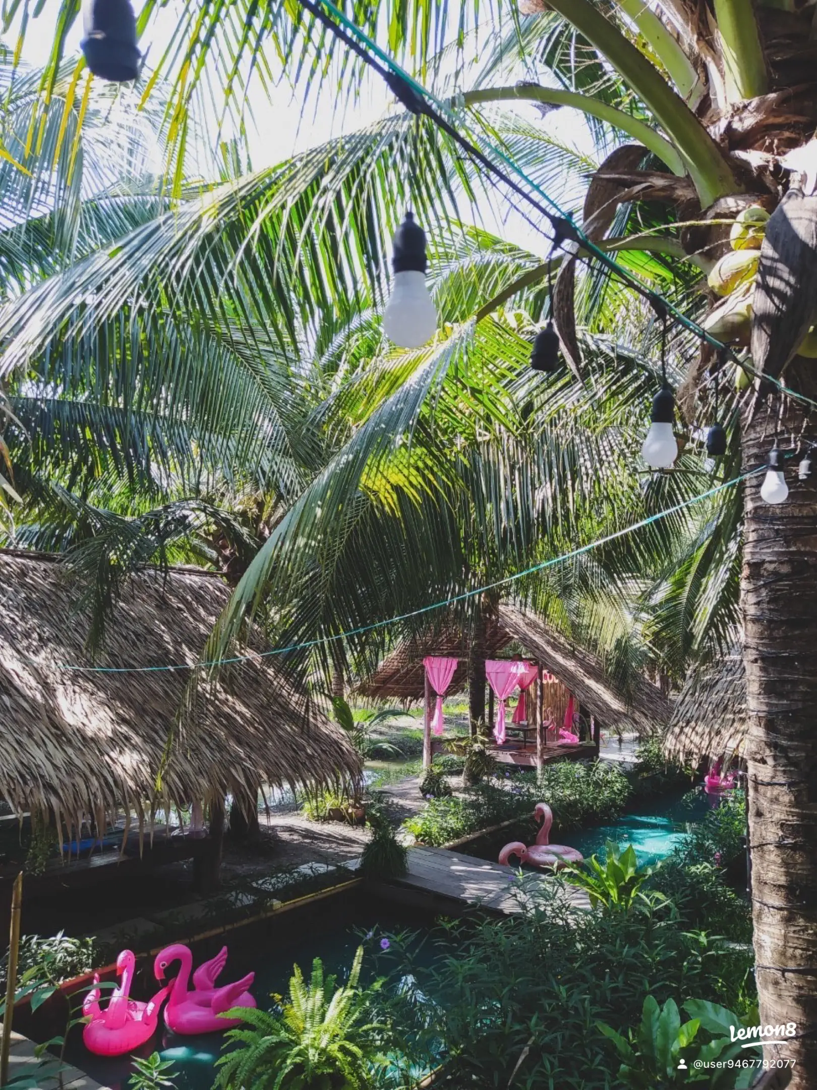 คาเฟ่ธรรมชาติท่ามกลางสวนมะพร้าว จังหวัดสมุทรสาคร | แกลเลอรีที่โพสต์โดย Chayanee Tass | Lemon8