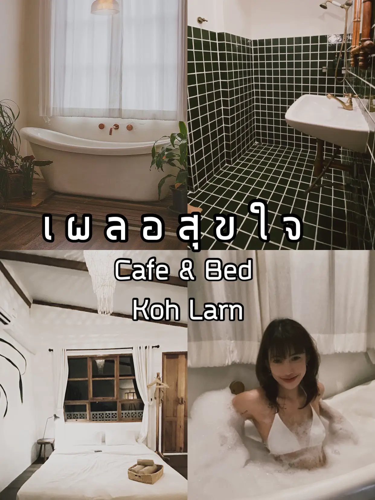 เผลอสุขใจ Plursukjai Cafe&bed | แกลเลอรีที่โพสต์โดย Tukta:) | Lemon8