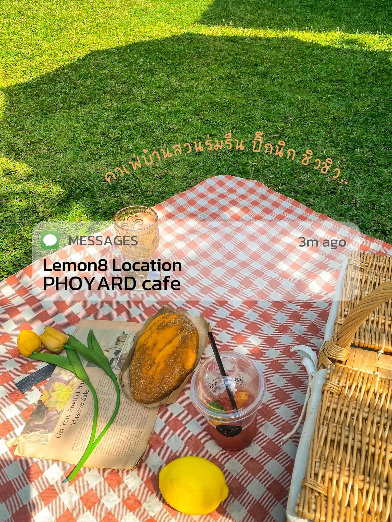 คาเฟ่บ้านสวนร่มรื่น ปิ๊กนิก ชิวชิว.. | แกลเลอรีที่โพสต์โดย Manee Review | Lemon8