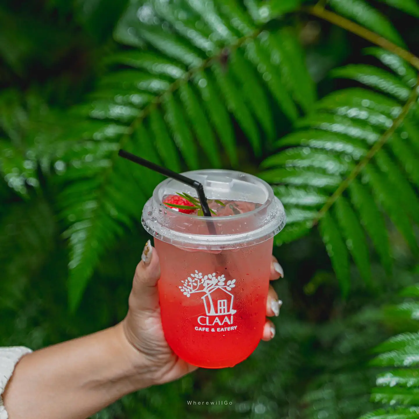 คาเฟ่สไตล์ญี่ปุ่นสุดชิค ริมลำธารแม่ลาย จ.เชียงใหม่ | แกลเลอรีที่โพสต์โดย WherewillGo | Lemon8