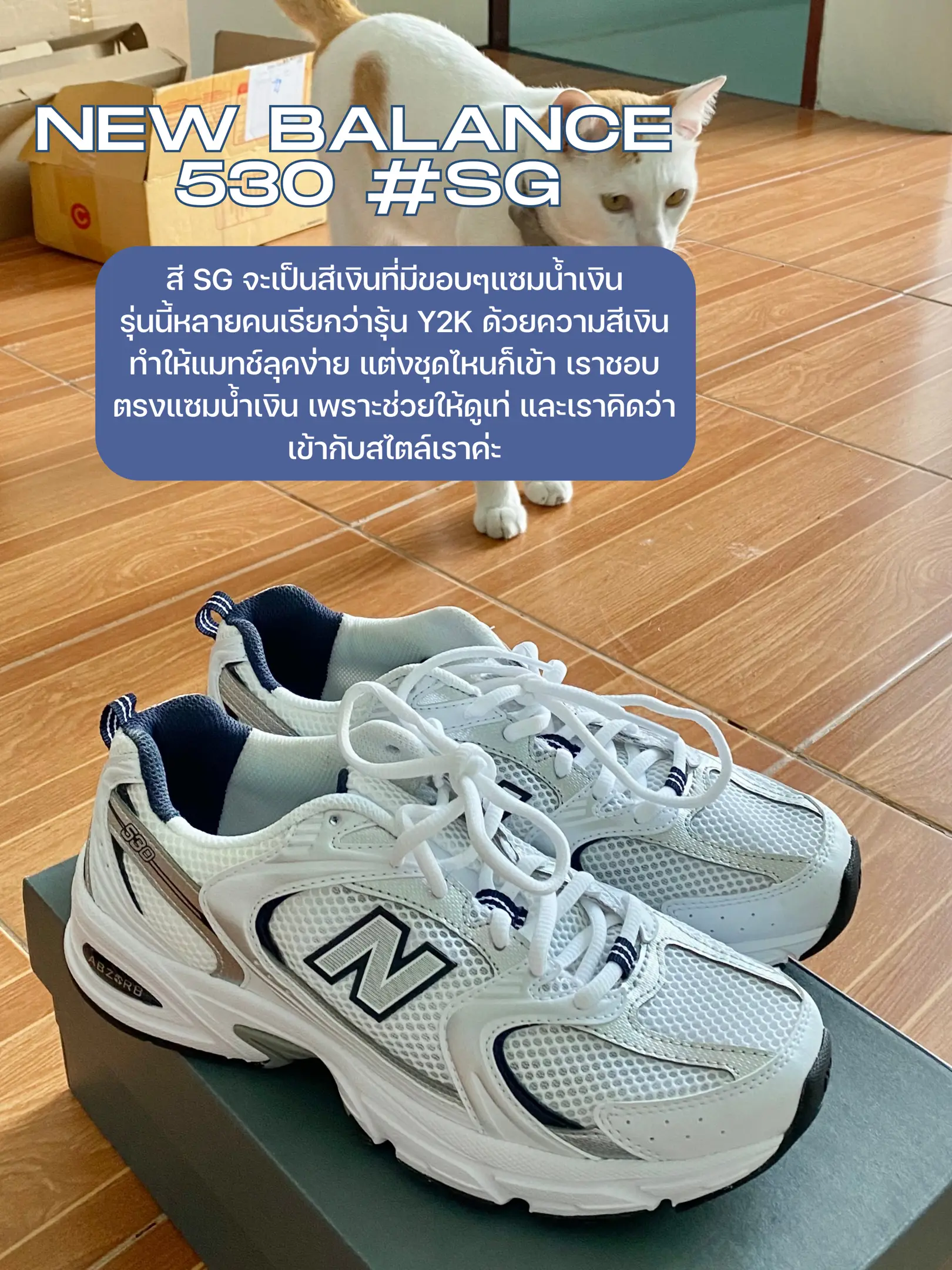 20 ไอเดียยอดนิยมเกี่ยวกับ รีวิว New Balance 530 Sg ในปี 2024
