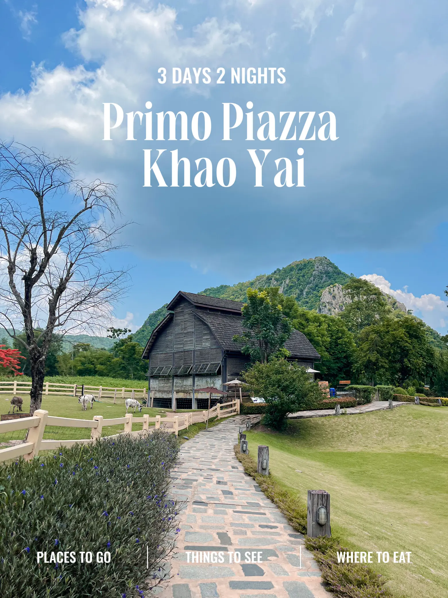 Primo Piazza Khao Yai | แกลเลอรีที่โพสต์โดย Joon🥨 | Lemon8