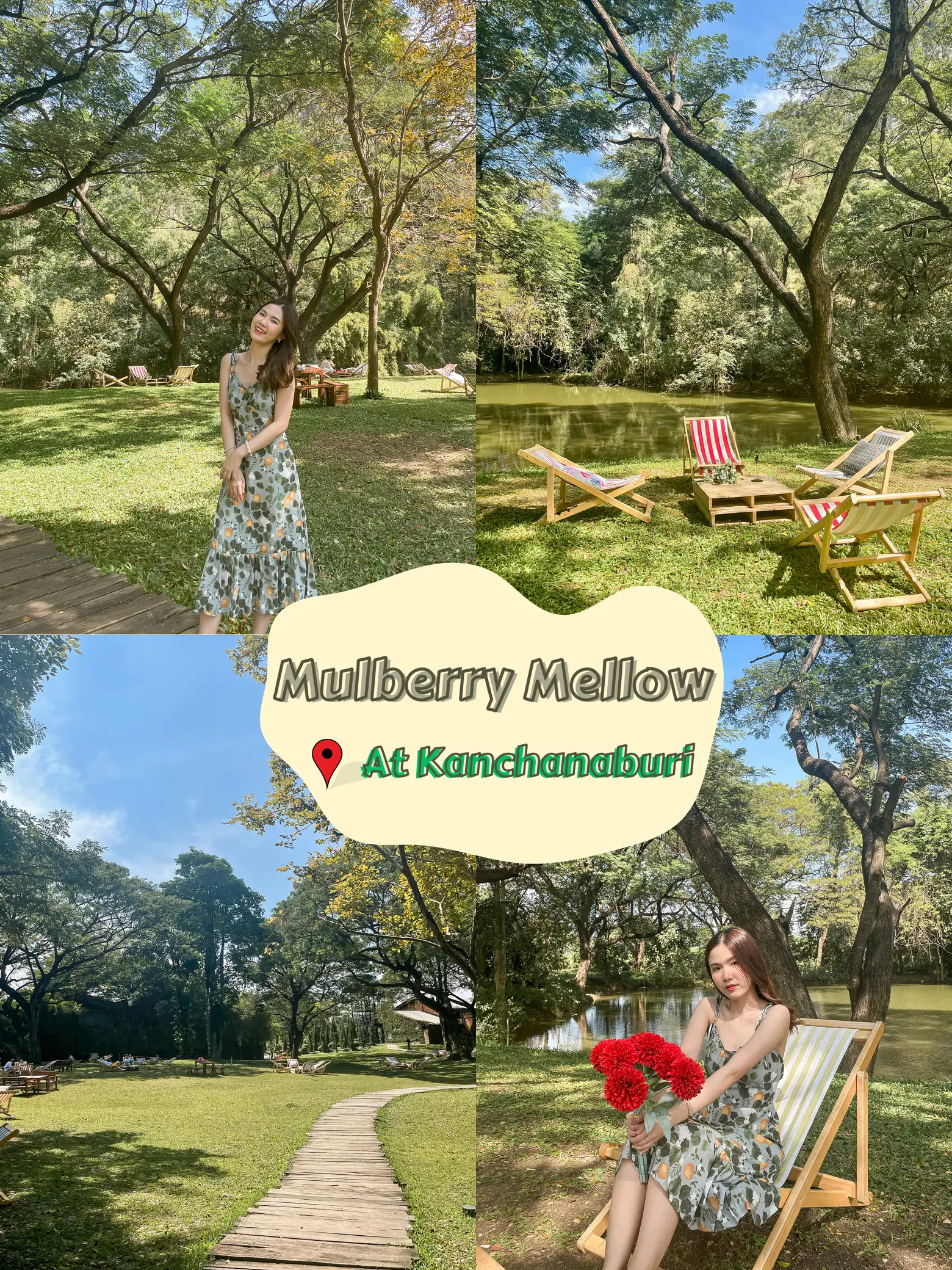 🍃MULBERRY MELLOW คาเฟ่สายเขียว🌿🐿️ | แกลเลอรีที่โพสต์โดย Tcpangg | Lemon8