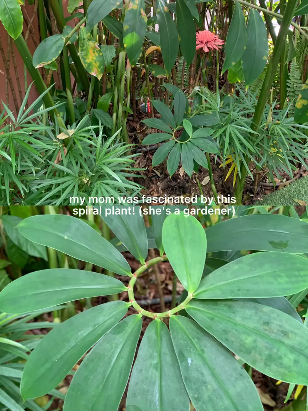 another 📸worthy place @ DESIGN ORCHARD | Gallery posted by jewel | Lemon8