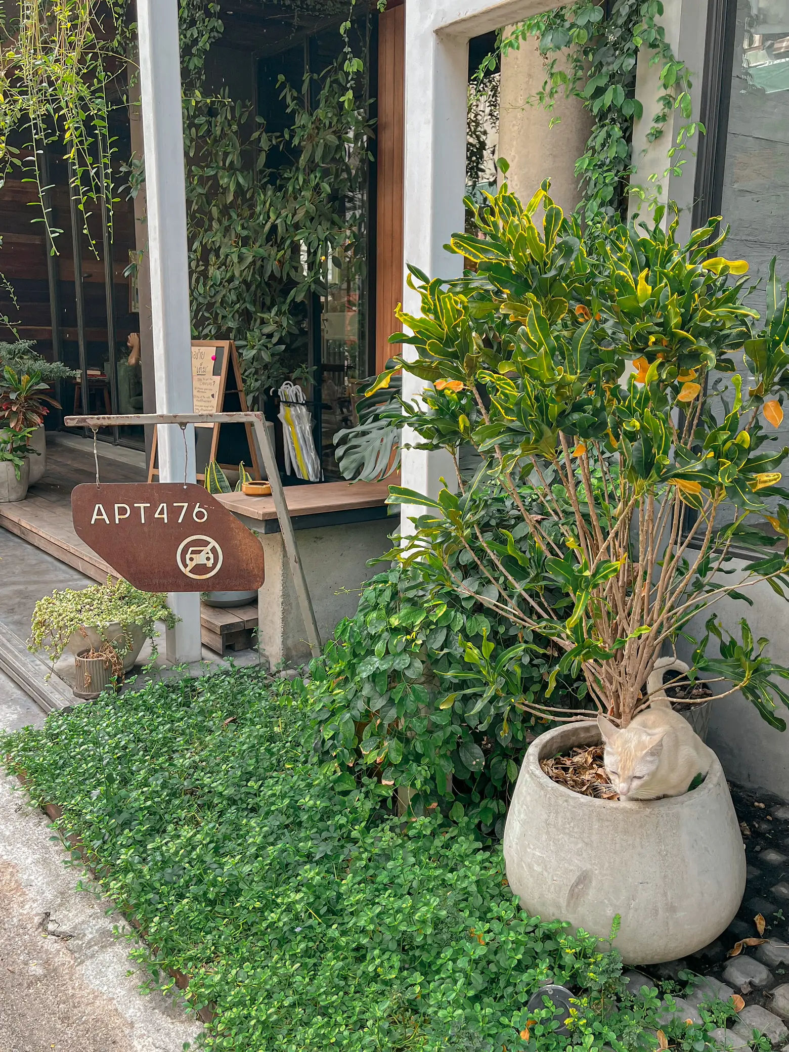 Under Home Cafe, TAIBAN CAFE BKK | Gallery posted by Ruji_pat | Lemon8