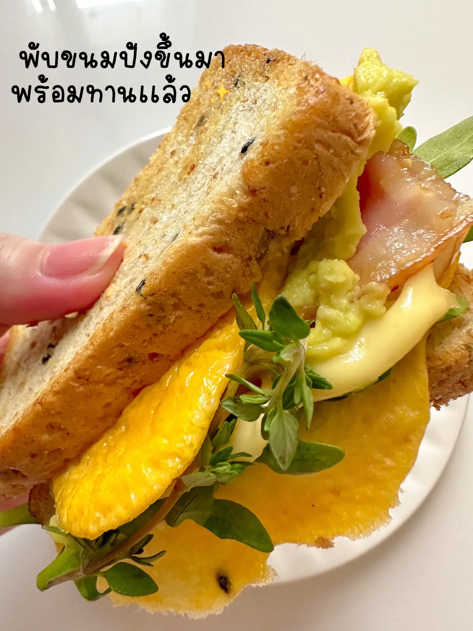 มื้อเช้าง่ายๆ ได้ประโยชน์ครบถ้วน 🍴 | แกลเลอรีที่โพสต์โดย B e ll e | Lemon8