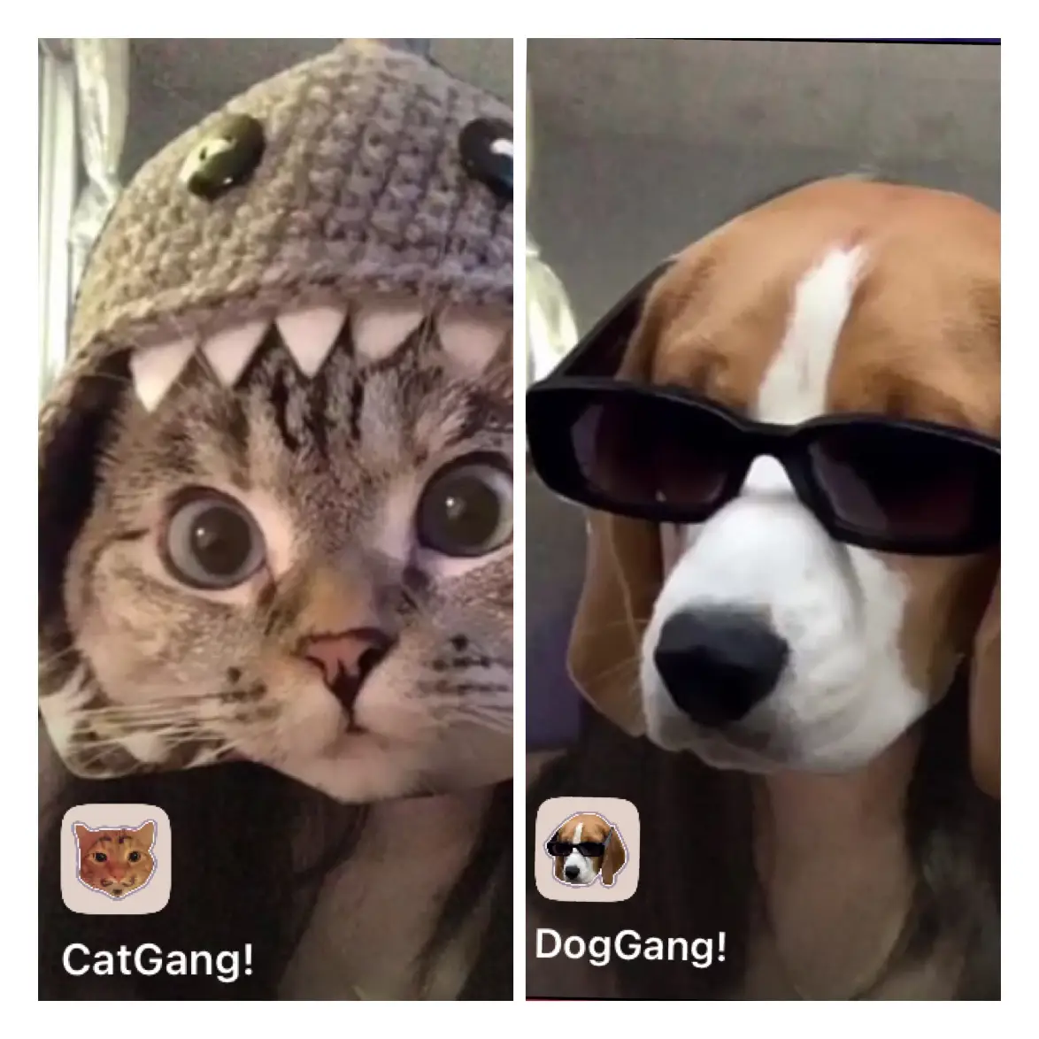 แนะนำฟิลเตอร์ไอจีแบบไม่เห็นหน้า! | แกลเลอรีที่โพสต์โดย Palii_ | Lemon8