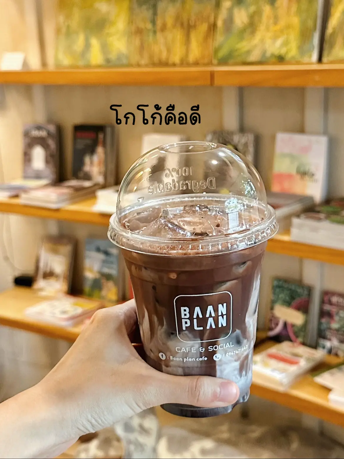 พิกัดถ่ายรูปฟิลเกาหลีใจกลางเมือง Baan Plan Cafe | แกลเลอรีที่โพสต์โดย ...