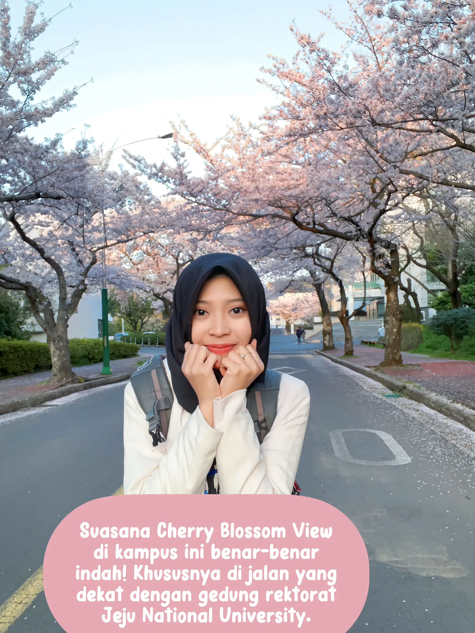 🌸Let’s Spend Holiday in Spring Season at Jeju🇰🇷 | Galeri diposting oleh Ratih Hanami 🌸 | Lemon8