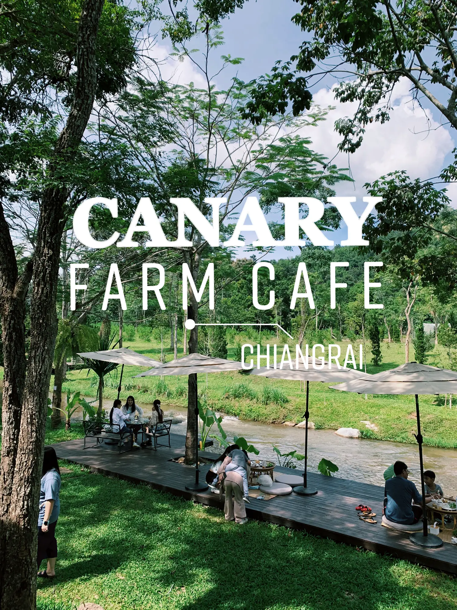 รีวิว คาเฟ่เชียงราย | Canary Farm Cafe & Restaurant | แกลเลอรีที่โพสต์ ...