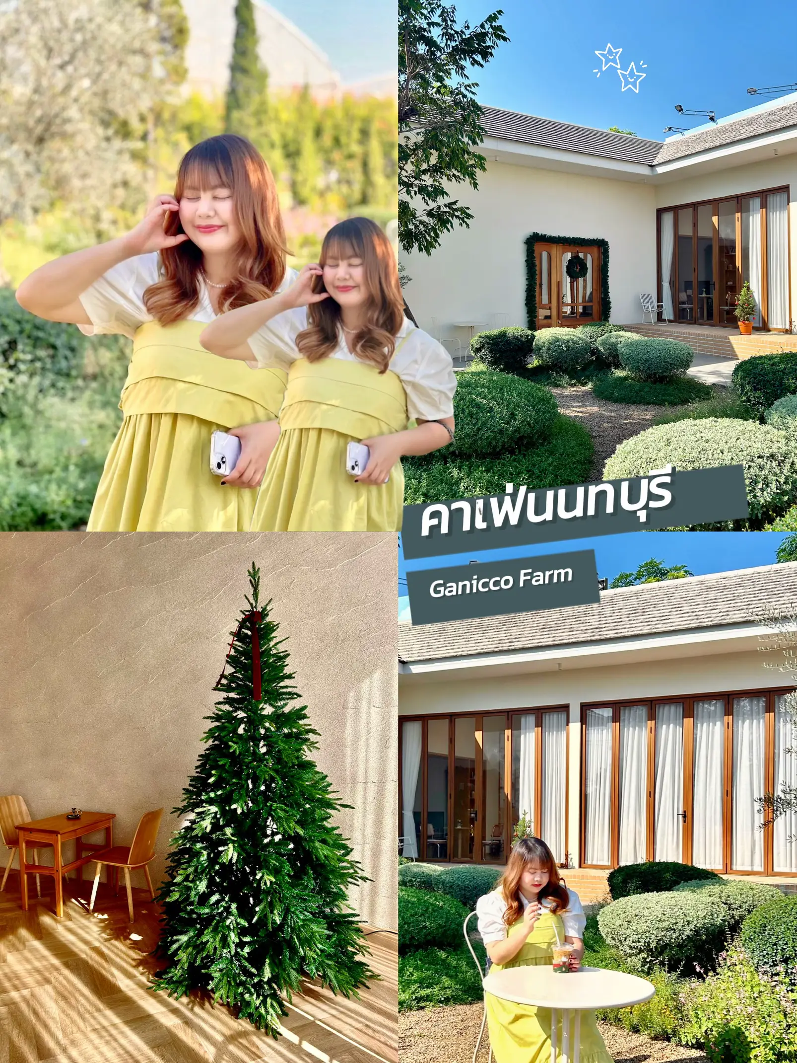 จิบกาแฟชมสวน 🌲🌳 | แกลเลอรีที่โพสต์โดย Ni-tha | Lemon8