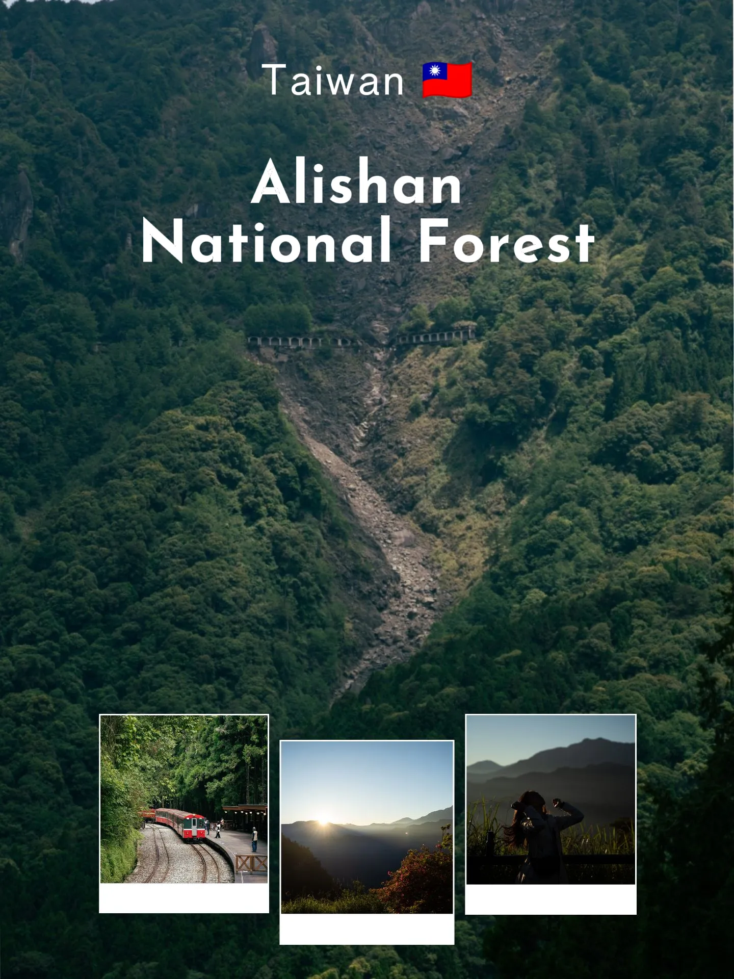 -Alishan National Forest 🌲⛰️- Taiwan ep.1 | แกลเลอรีที่โพสต์โดย PD-Dream | Lemon8