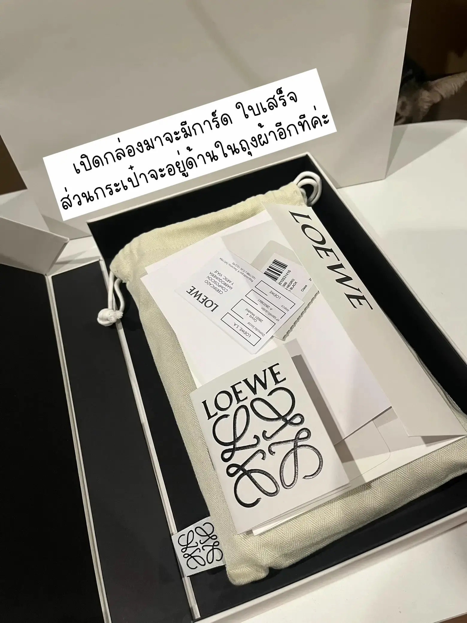 รีวิวกระเป๋าแบรนด์เนม Loewe | แกลเลอรีที่โพสต์โดย Tuckpwn♡ | Lemon8