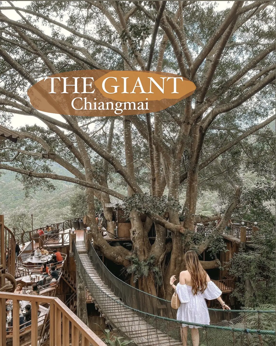 The Giant cnx🪵🍃 คาเฟ่แม่กำปองที่วิวโคตรว้าวว🤩🤍 | แกลเลอรีที่โพสต์โดย Benjarat St | Lemon8