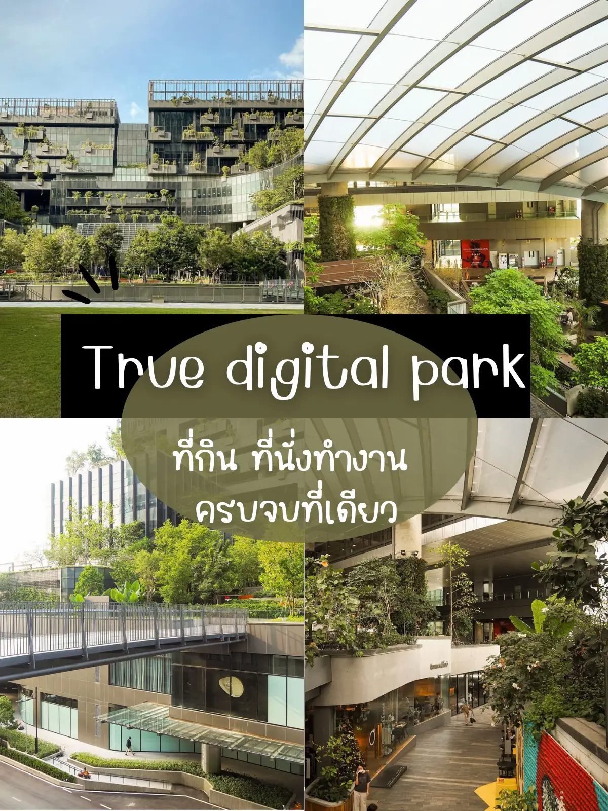 True Digital Park มีร้านอะไรบ้าง | 2025 ประสบการณ์ผู้ใช้จริงบน Lemon8