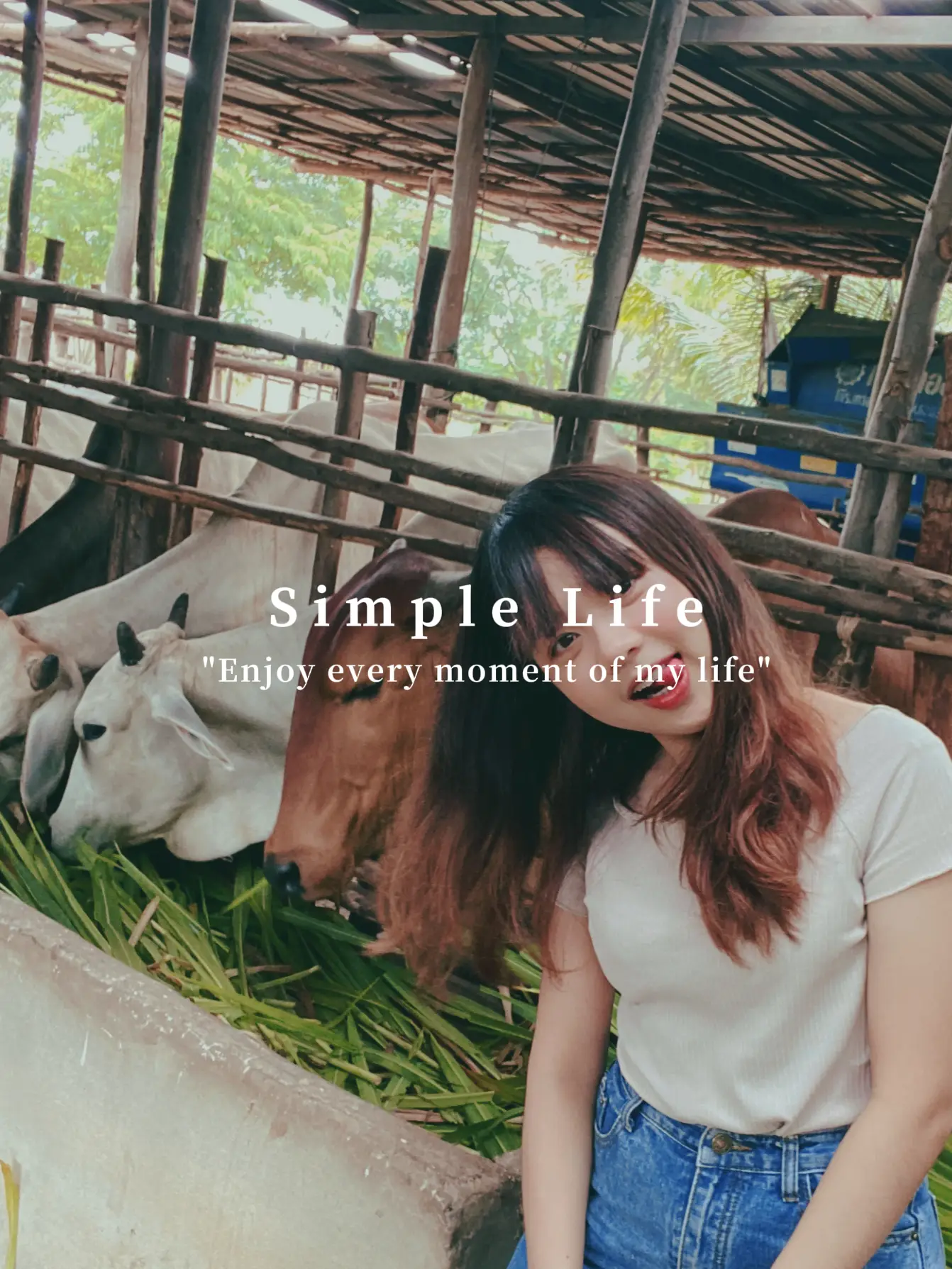 กรุงเทพ-สระแก้ว กับรถไฟครั้งแรกก🚂💨 | แกลเลอรีที่โพสต์โดย Falar | Lemon8