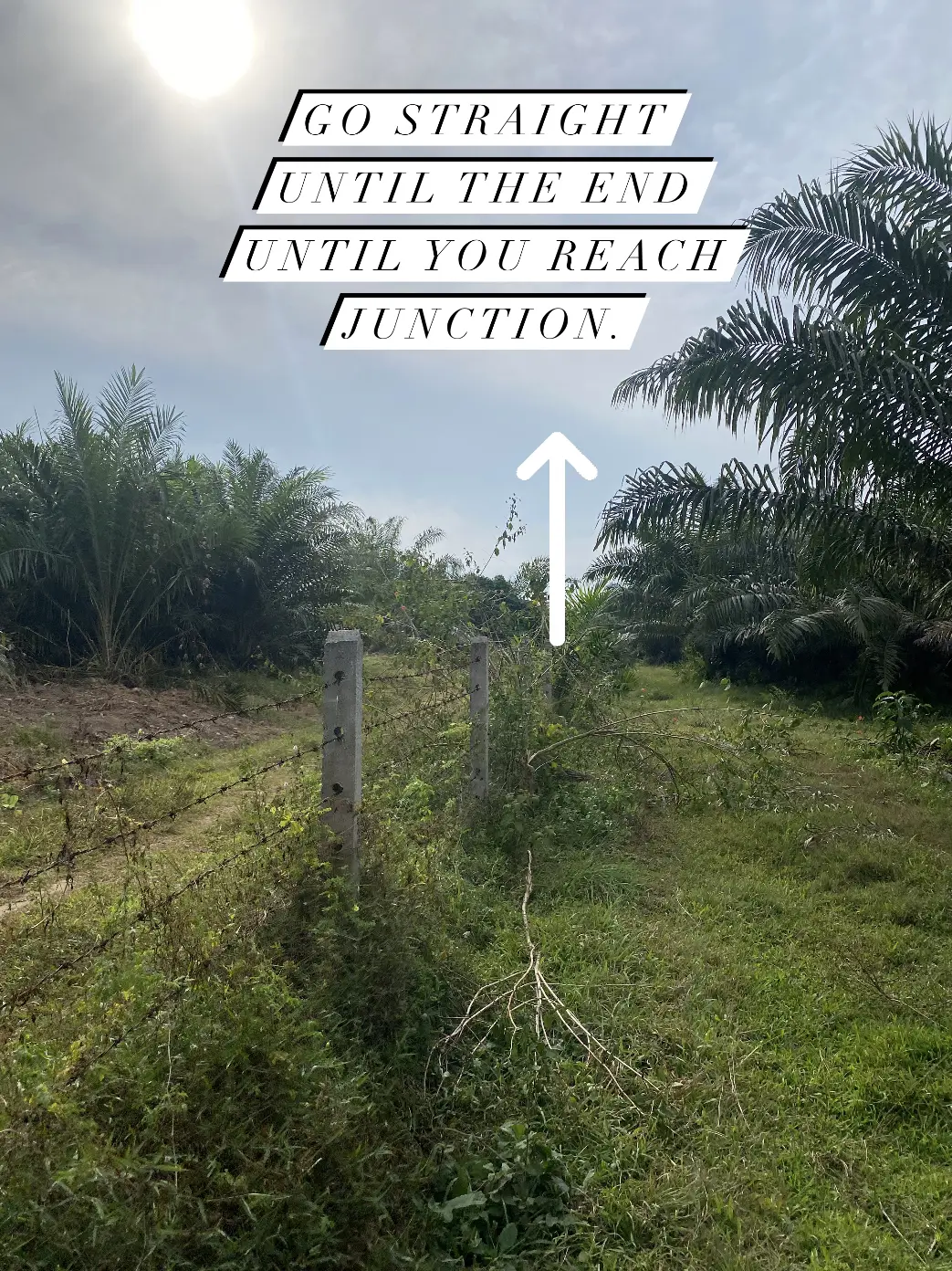 How go go Sepang South Africa Part 2 | Galeri disiarkan oleh Khor Phor Xiang | Lemon8