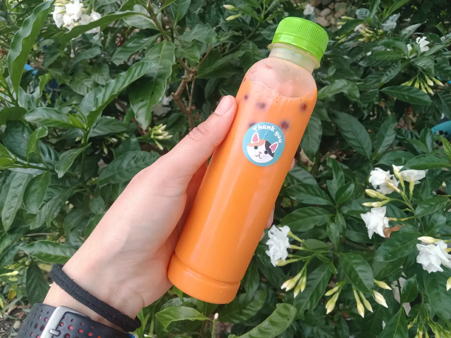 ชาไทยตรามือใส่ขวด 220 ml - การค้นหาใน Lemon8