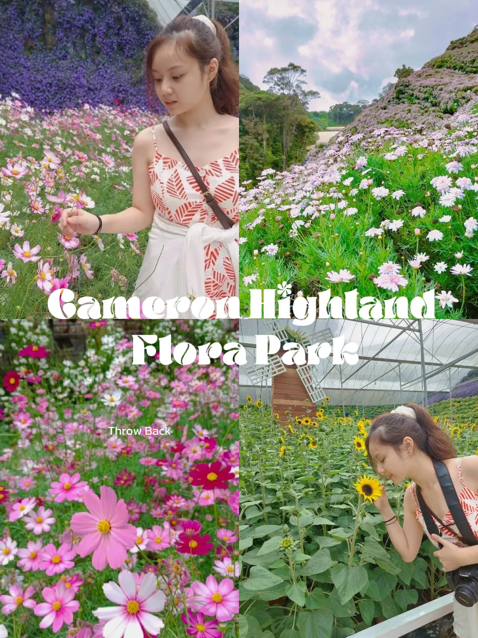 Place to visit in Cameron: Cameron Flora Park | Galeri disiarkan oleh Xuan | Lemon8