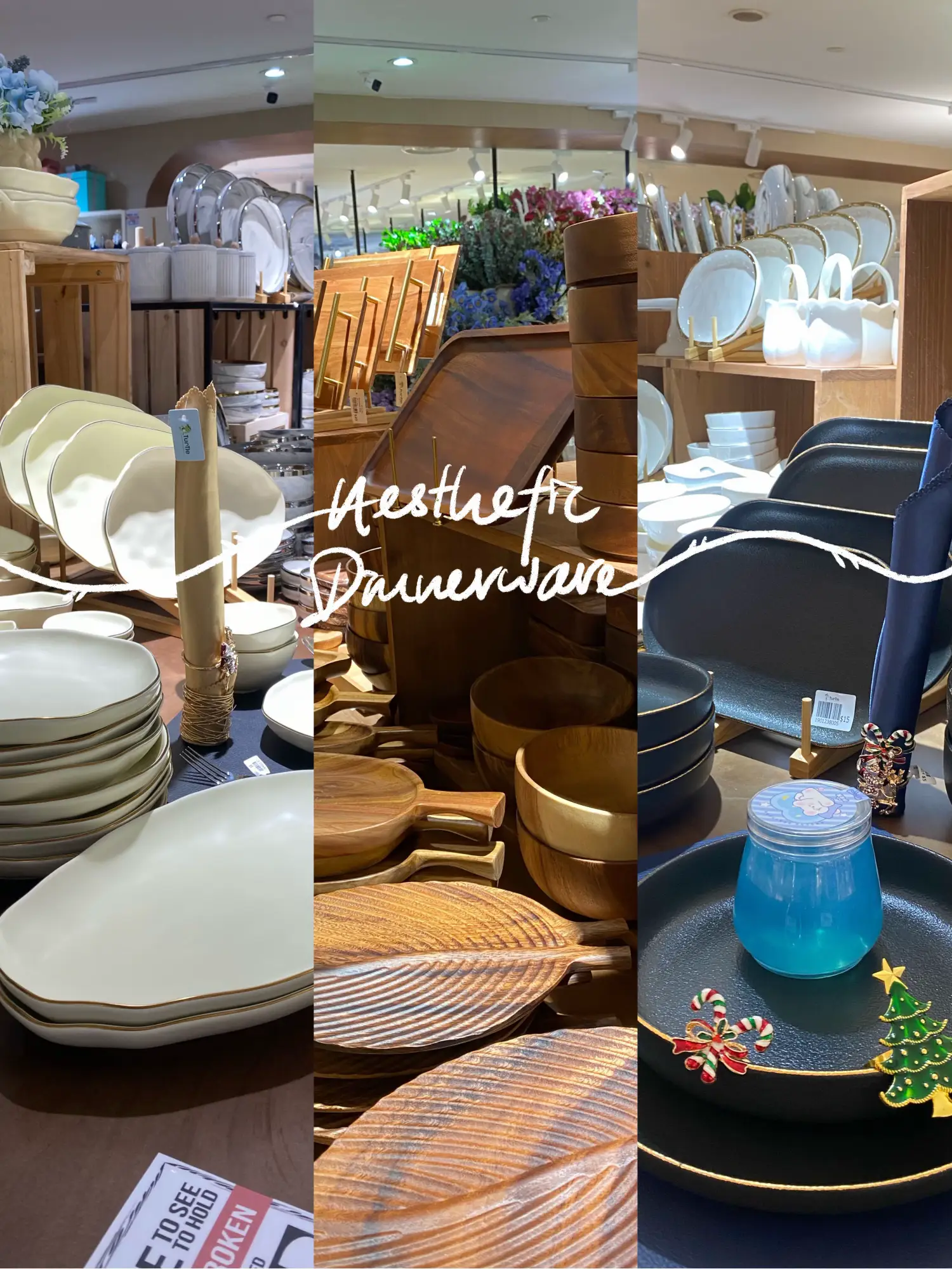 Hugeeee Turtle Outlet @ChinatownPoint!!! 🐢 🤩 | Gallery posted by ...