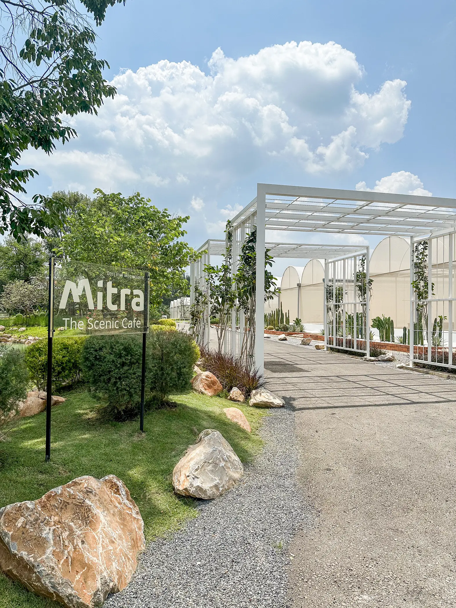 Mitra.cafe คาเฟ่สีขาว บรรยากาศใกล้ชิดติดธรรรมชาติ | แกลเลอรีที่โพสต์โดย ...