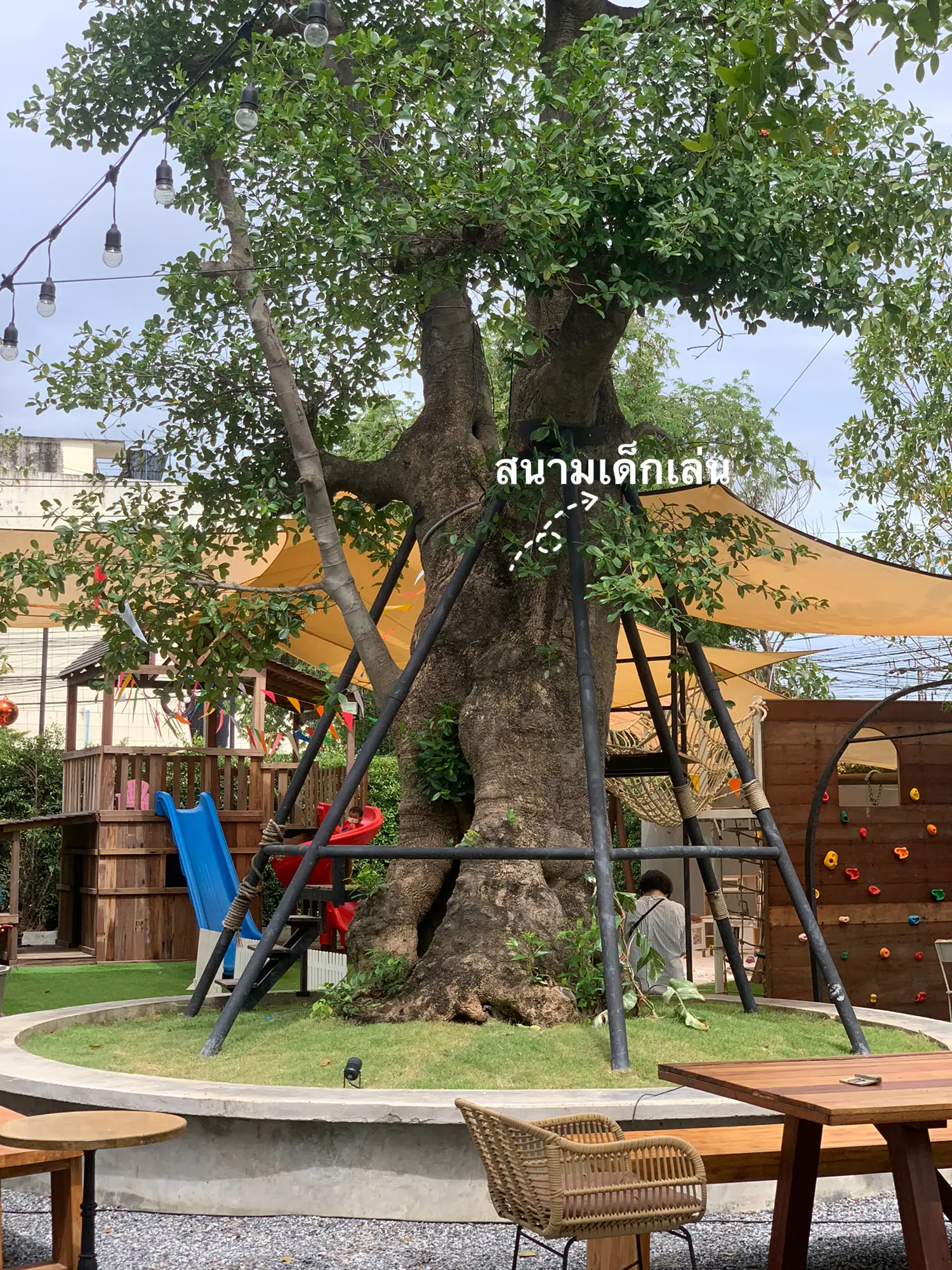 The Rabbit’s Grove คาเฟ่น่านั่งย่านกรุงเทพกรีฑา | แกลเลอรีที่โพสต์โดย ...