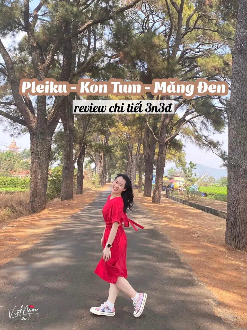 𝑃𝑙𝑒𝑖𝑘𝑢 - 𝐾𝑜𝑛 𝑇𝑢𝑚 - 𝑀𝑎̆𝑛𝑔 Đ𝑒𝑛 3N3Đ 💛 ️ | Bộ sưu tập do Việt Nam Ơi đăng | Lemon8