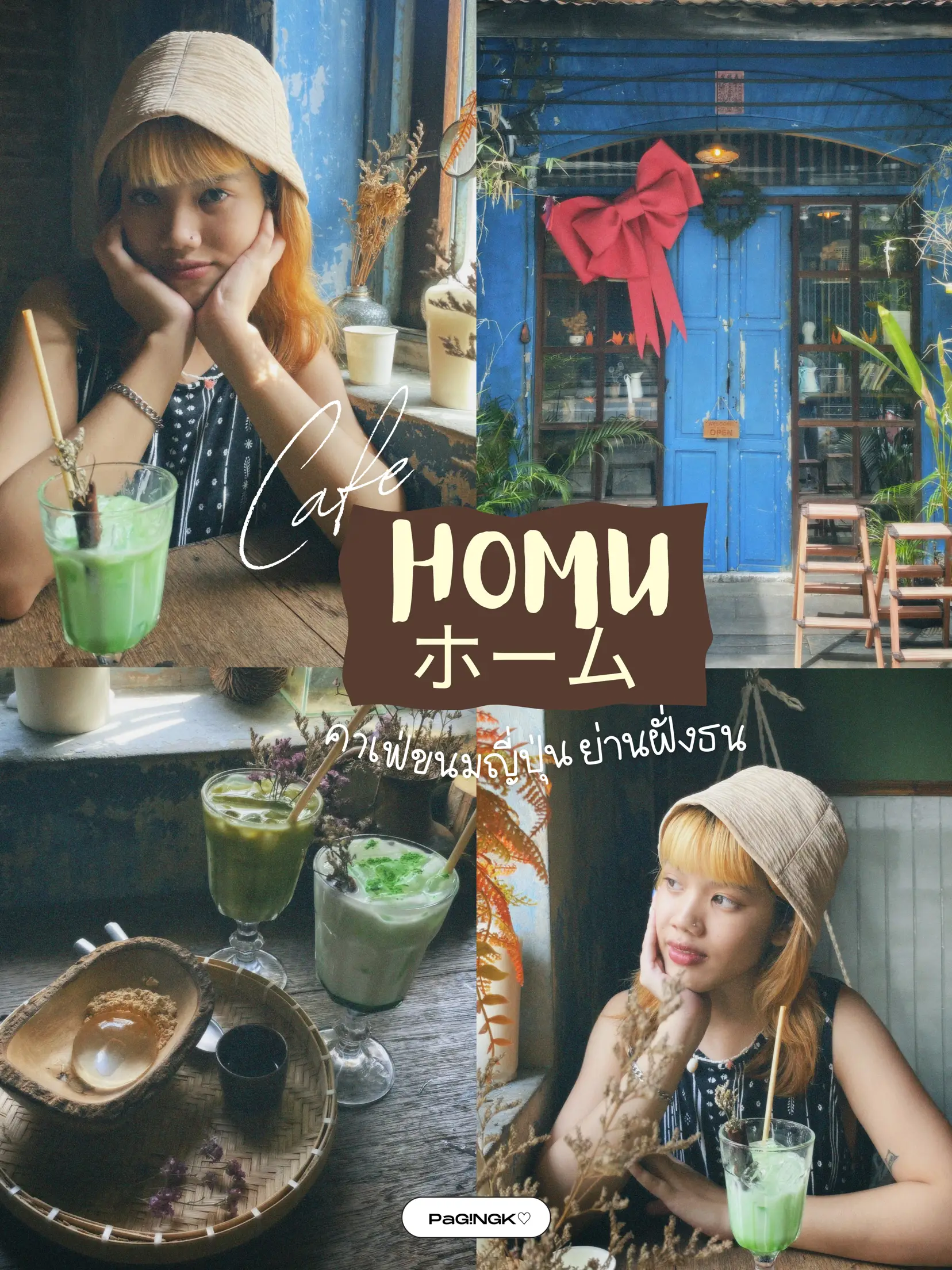เตา homu - การค้นหาใน Lemon8