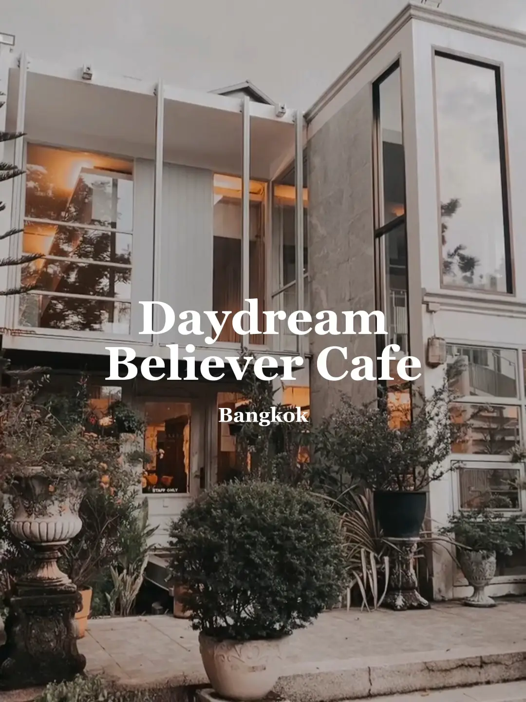 BKK Cafe Finds | Daydream Believer 🌿 | Video published by isabelle han ...