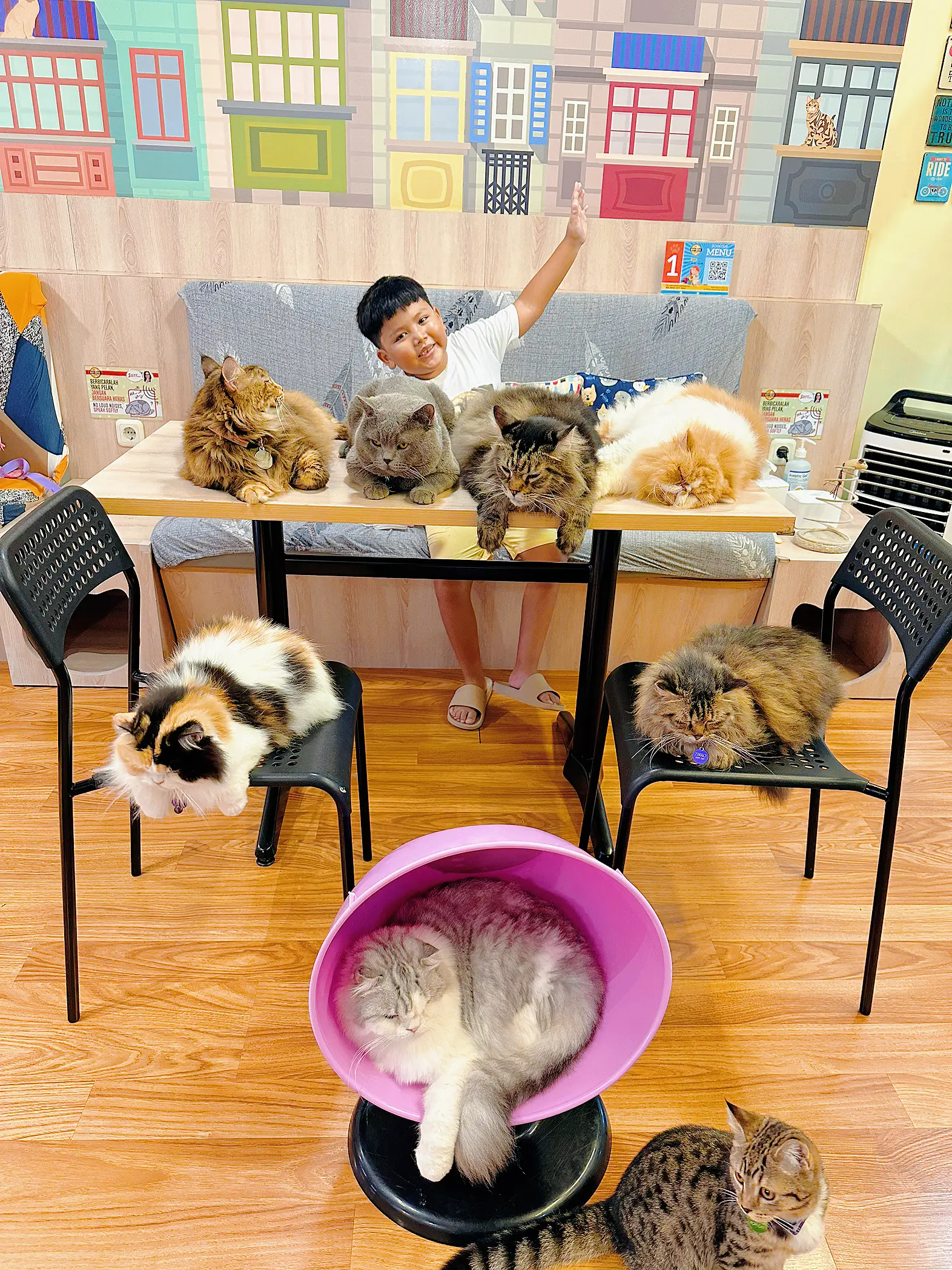 Kopi Cat Cafe by Groovy | Galeri diposting oleh Tirza Vivien | Lemon8