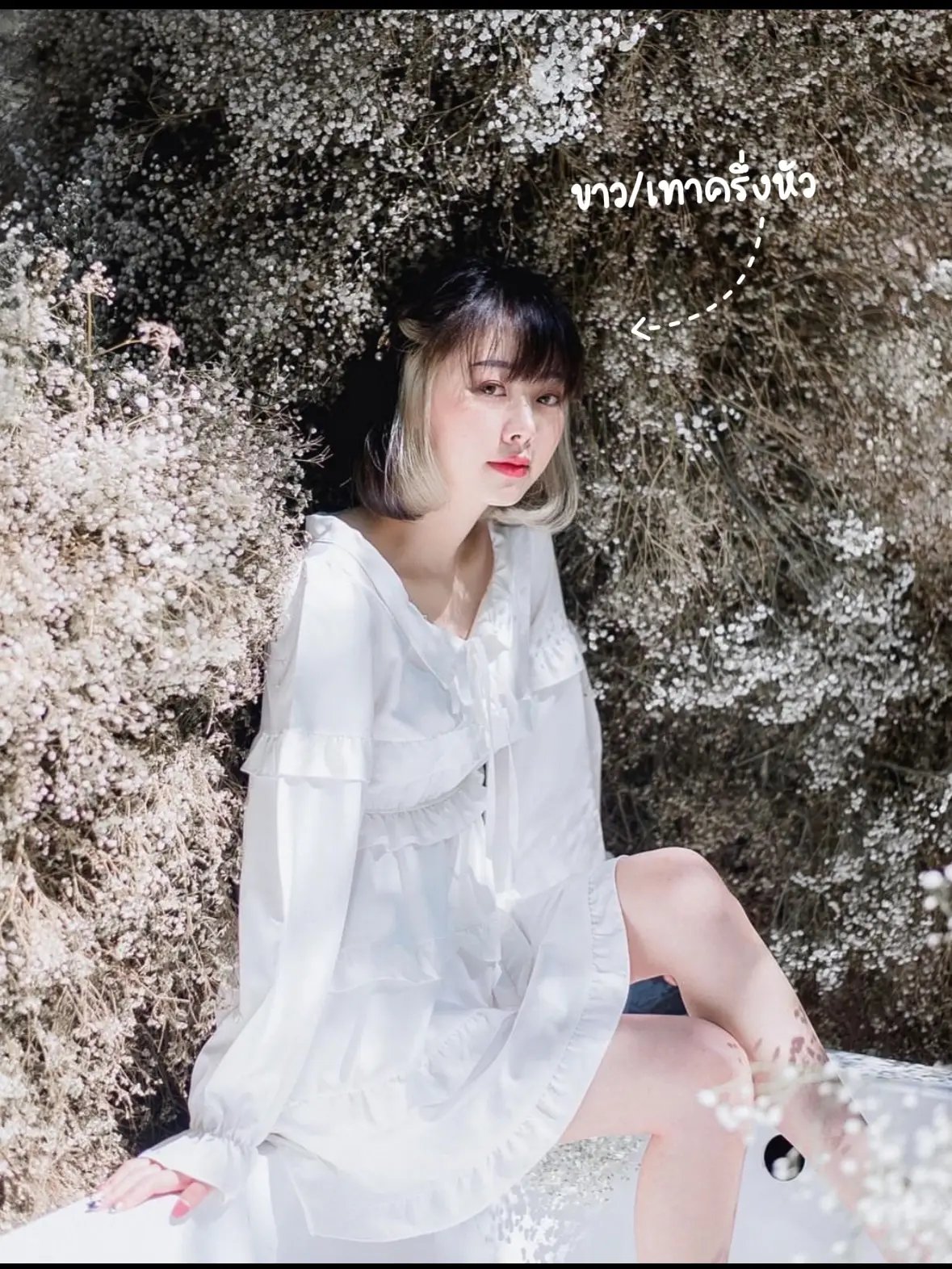 ไอเดียสีผมทูโทน วงการที่เข้าแล้วออกไม่ได้🤣🔥 | แกลเลอรีที่โพสต์โดย ...