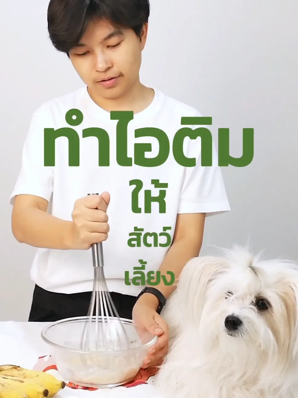 ทำไอติมให้สัตว์เลี้ยง | วิดีโอที่เผยแพร่โดย Pet A Boo Studi | Lemon8