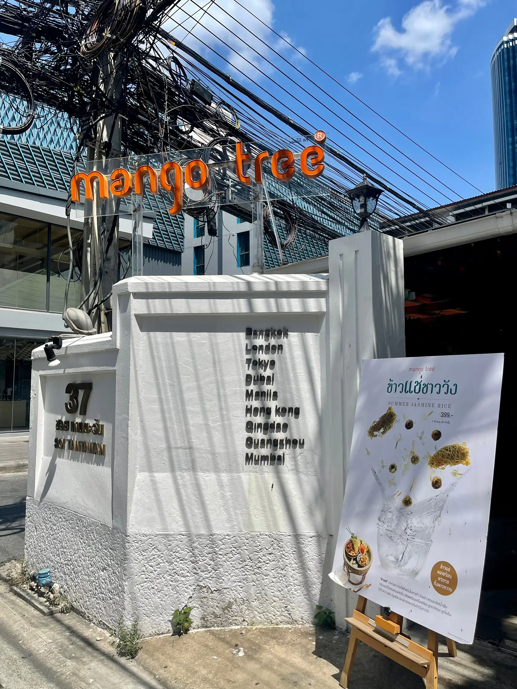 Mango Tree หนึ่งในร้านอาหารไทยที่มีชื่อเสียงไปหลายประเทศ | แกลเลอรีที่โพสต์โดย Pimdao | Lemon8