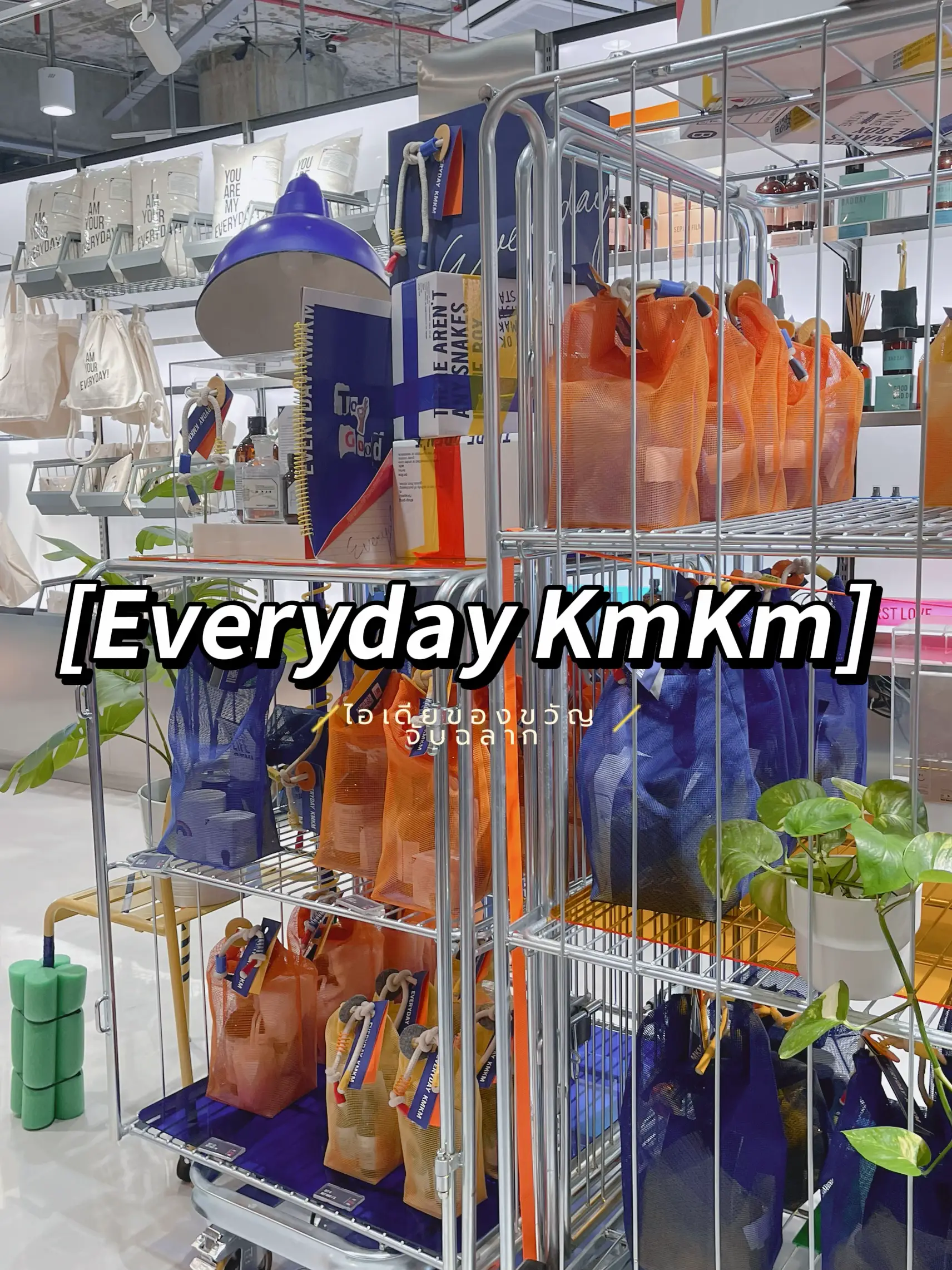 Everyday Kmkm : ไอเดียของขวัญจับฉลากในงบหลักร้อย | แกลเลอรีที่โพสต์โดย ...