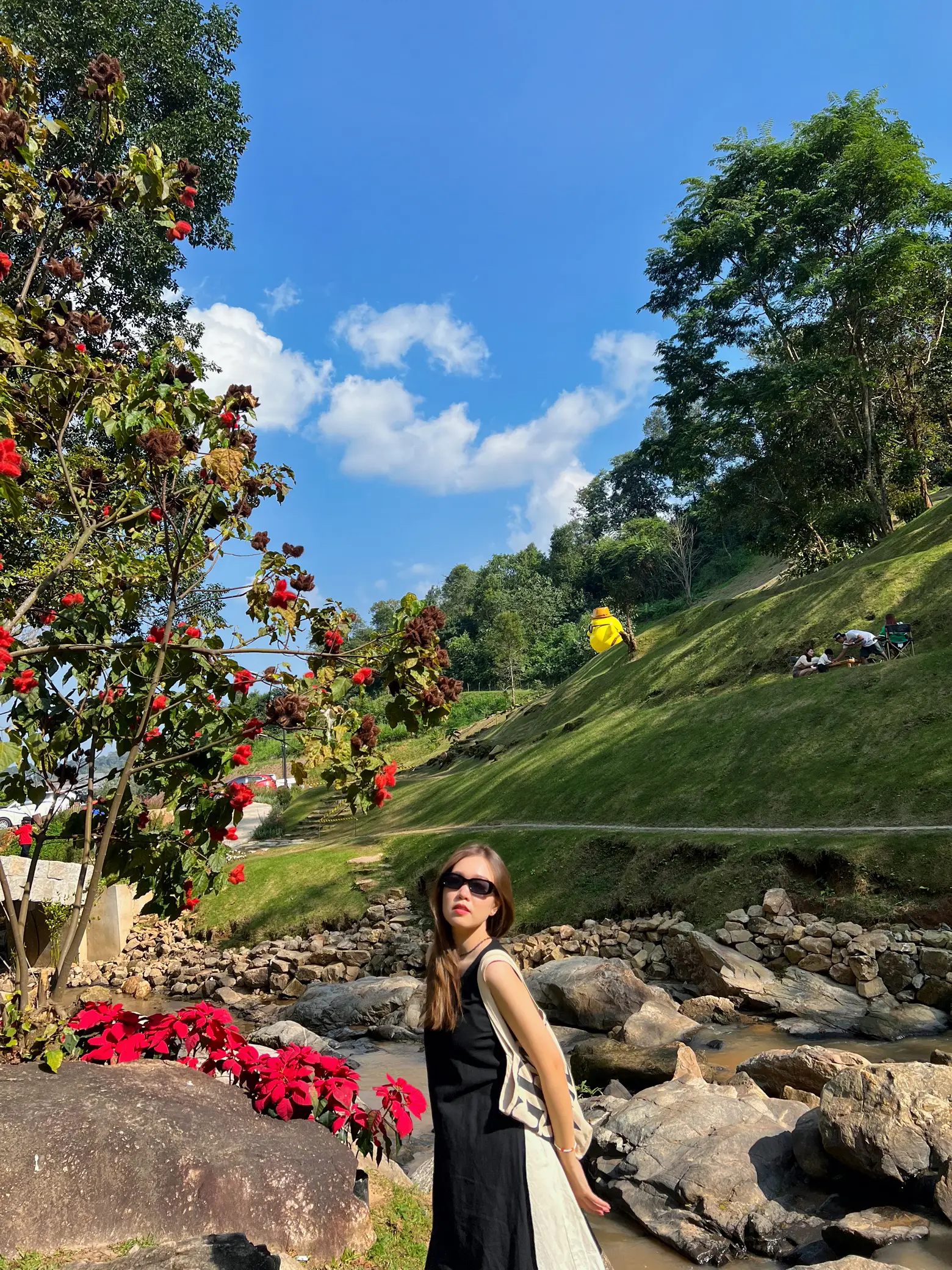 เช็คอินคาเฟ่ WTF Coffee Camp นั่งชิลๆ ริมน้ำตก @ เชียงใหม่⛺️ | แกลเลอรีที่โพสต์โดย Kaimook~ | Lemon8