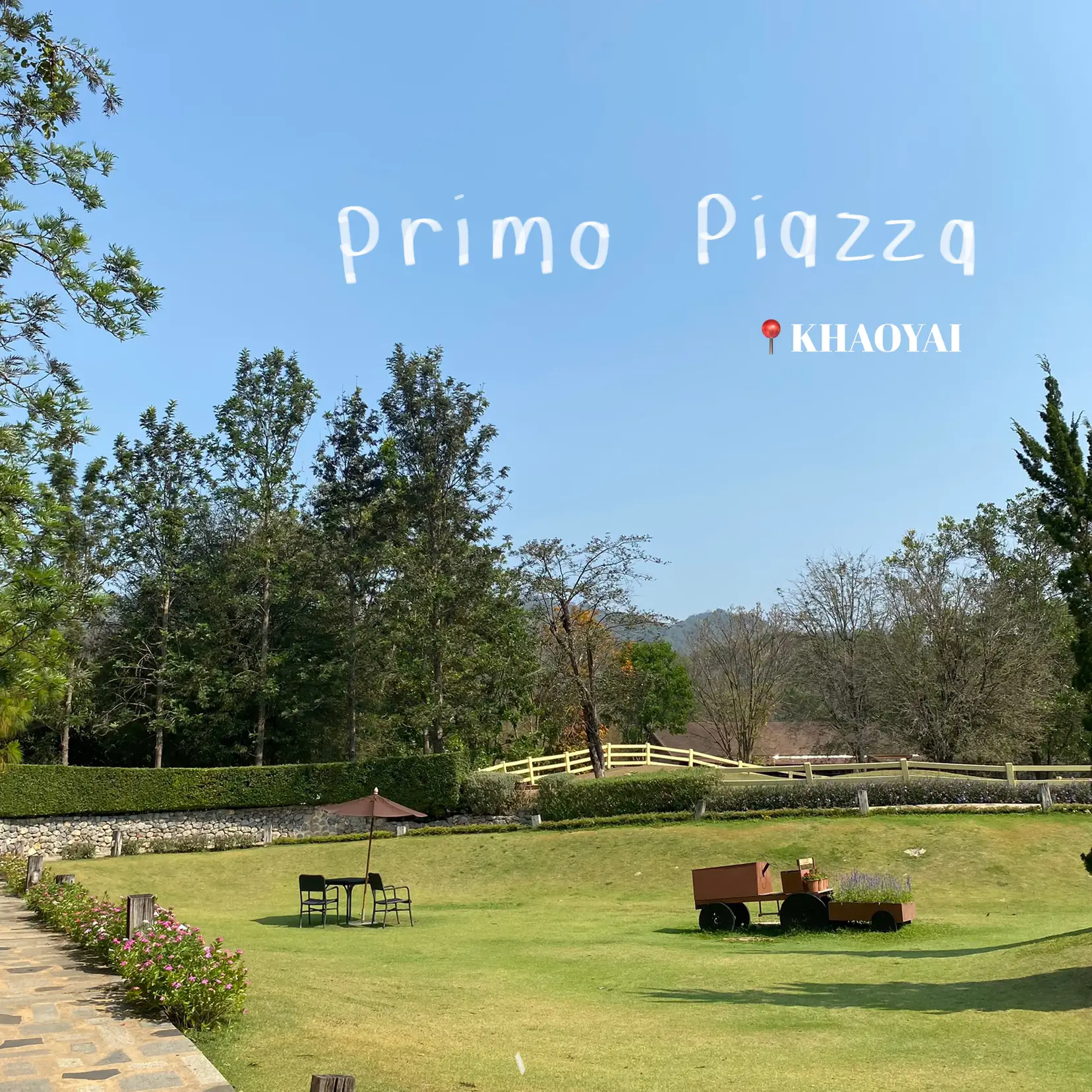 Primo Piazza KHAOYAI 🌳⭐️ | แกลเลอรีที่โพสต์โดย walnut24 | Lemon8