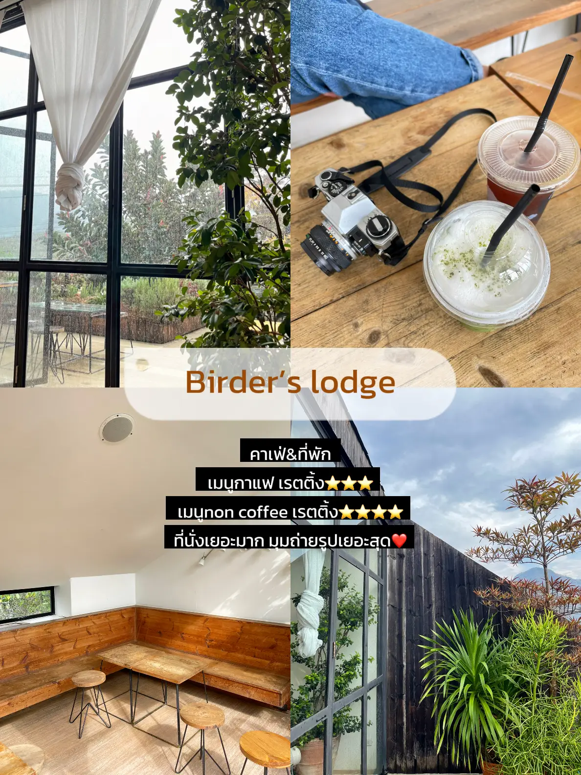 แจกแพลนเที่ยวเขาใหญ่ 2 วัน 1 คืน🌧 | แกลเลอรีที่โพสต์โดย eye_ewa | Lemon8