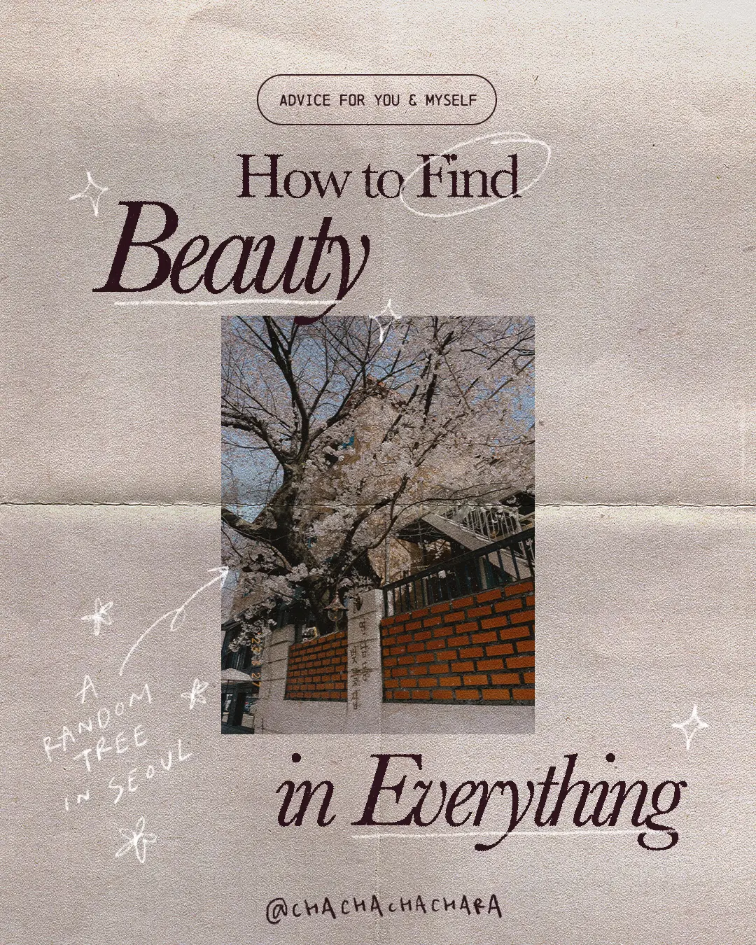 How to find beauty in everyday life? | 2025 real user experience on Lemon8