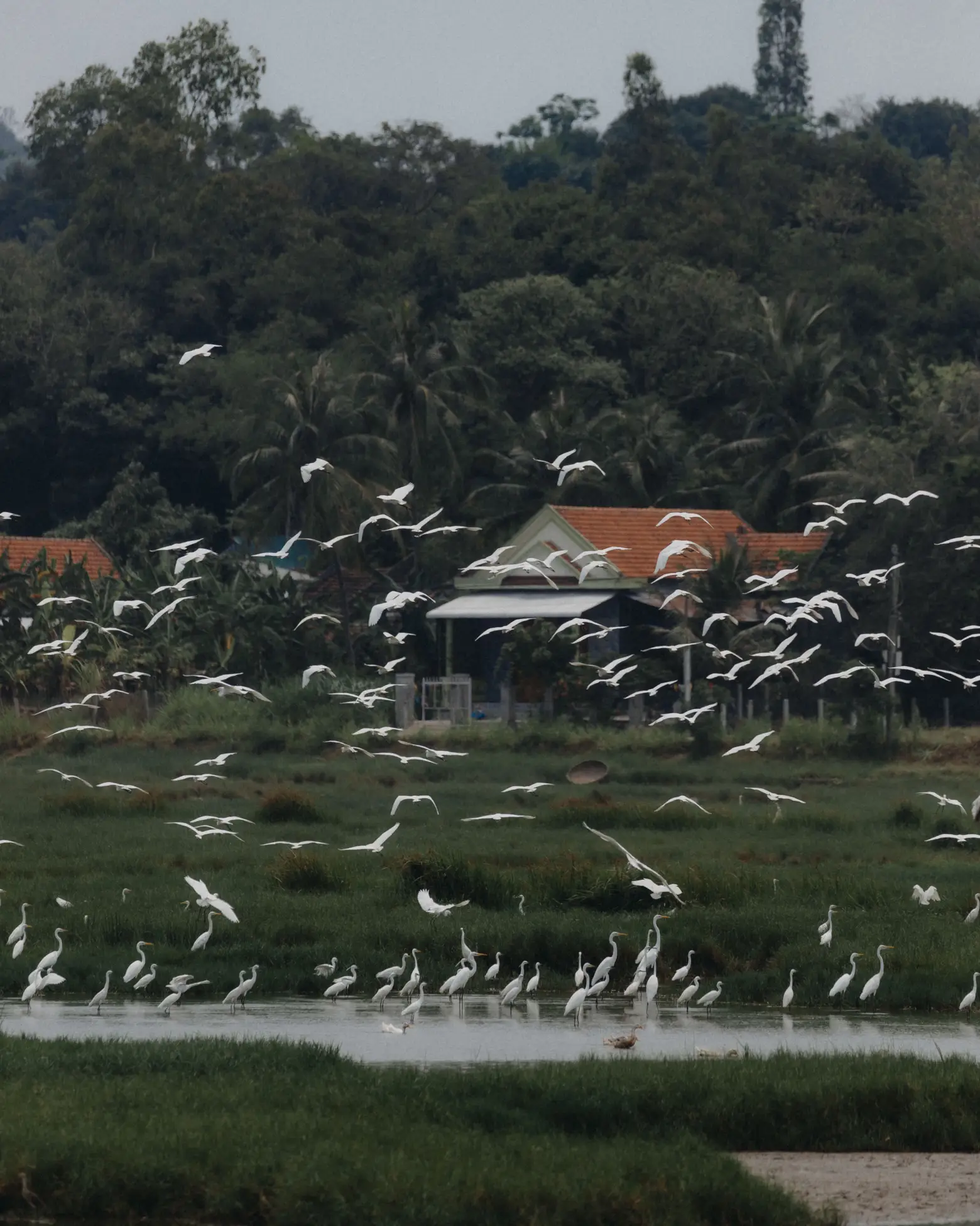 📍Phú Yên| Lịch trình 2N1D… | Bộ sưu tập do Blog Của Rọt đăng | Lemon8