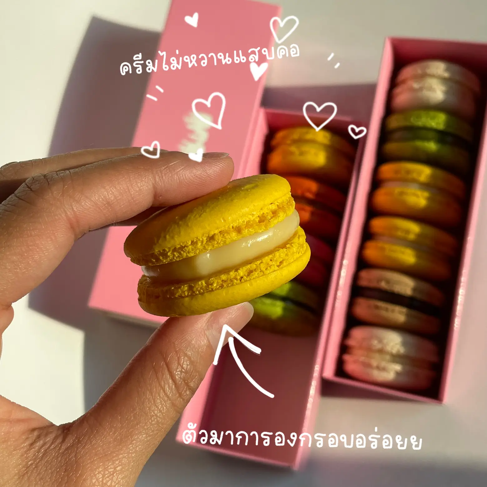 Le Macaron อีกร้านที่สาวกมาการองต้องมาลองให้ได้ 😋 | แกลเลอรีที่โพสต์โดย ...