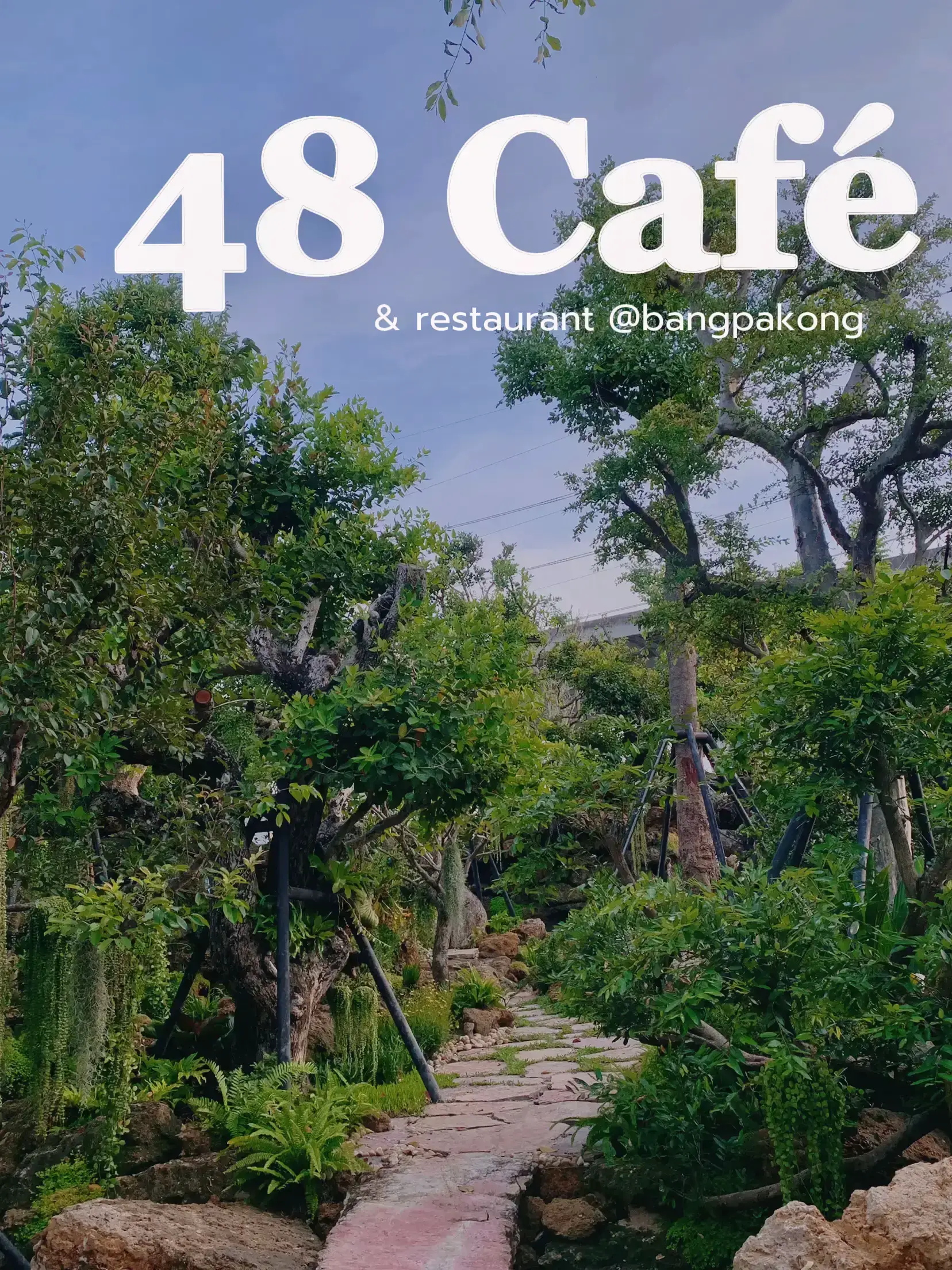 ☕️ 48 Café | ร้านอาหารเปิดใหม่ ย่านบางประกง🍽💐 | แกลเลอรีที่โพสต์โดย Kp ...