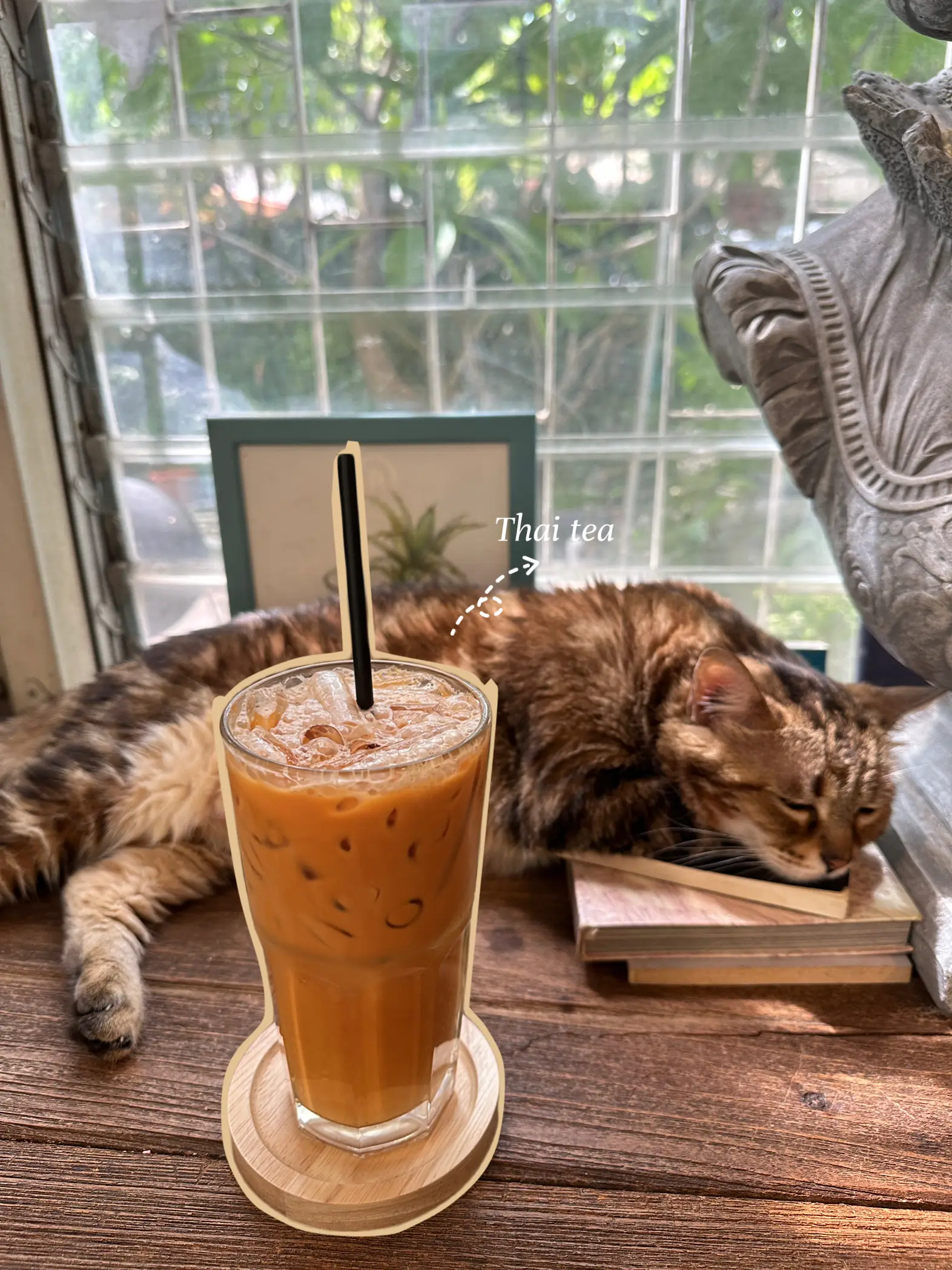 คาเฟ่มีแมว ย่านสาทร☕️🐈 | แกลเลอรีที่โพสต์โดย iinaris_ | Lemon8