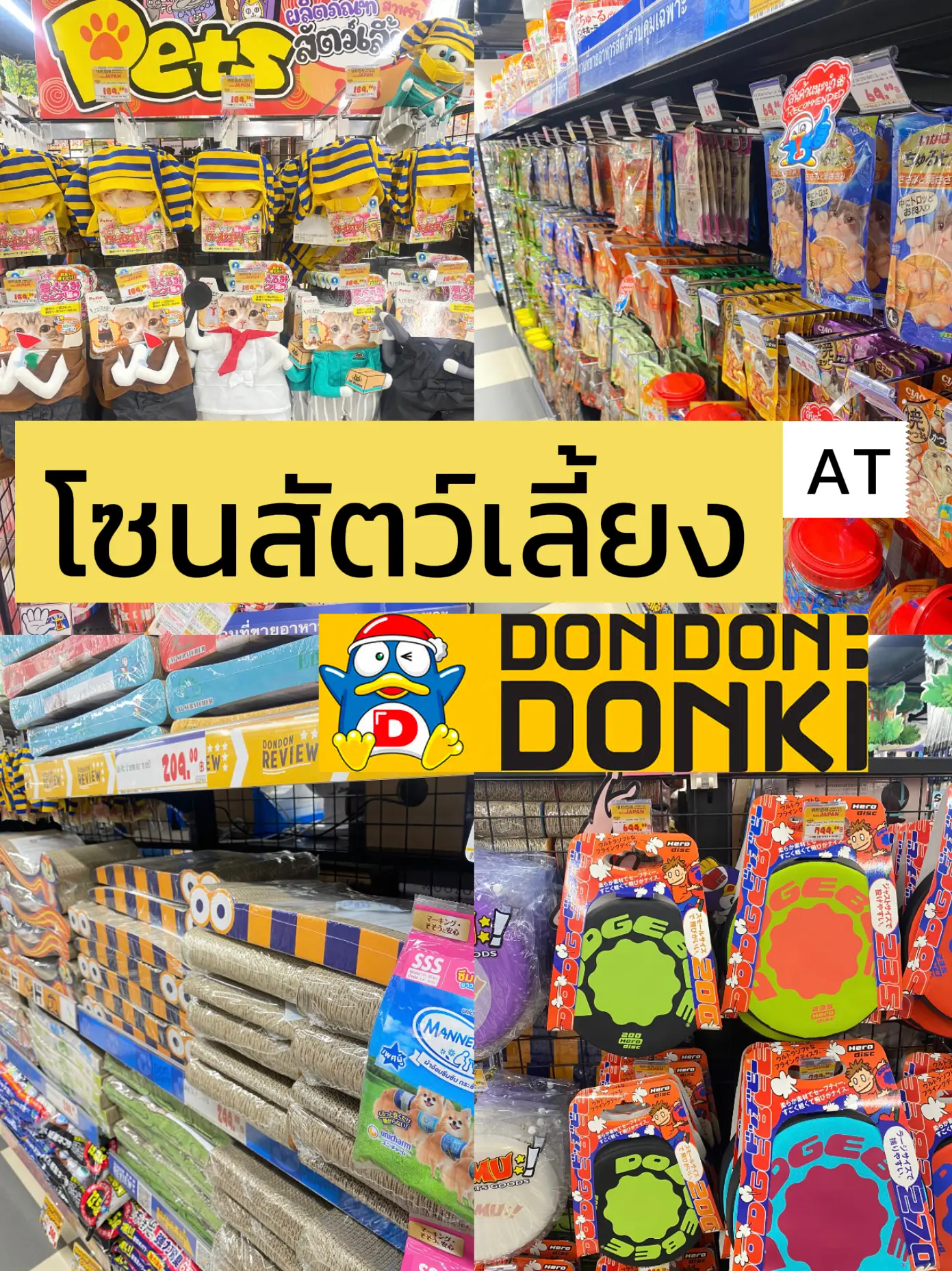 พาส่องโซนสัตว์เลี้ยงที่ Don Don: Donki 😻 | แกลเลอรีที่โพสต์โดย PPun&My ...