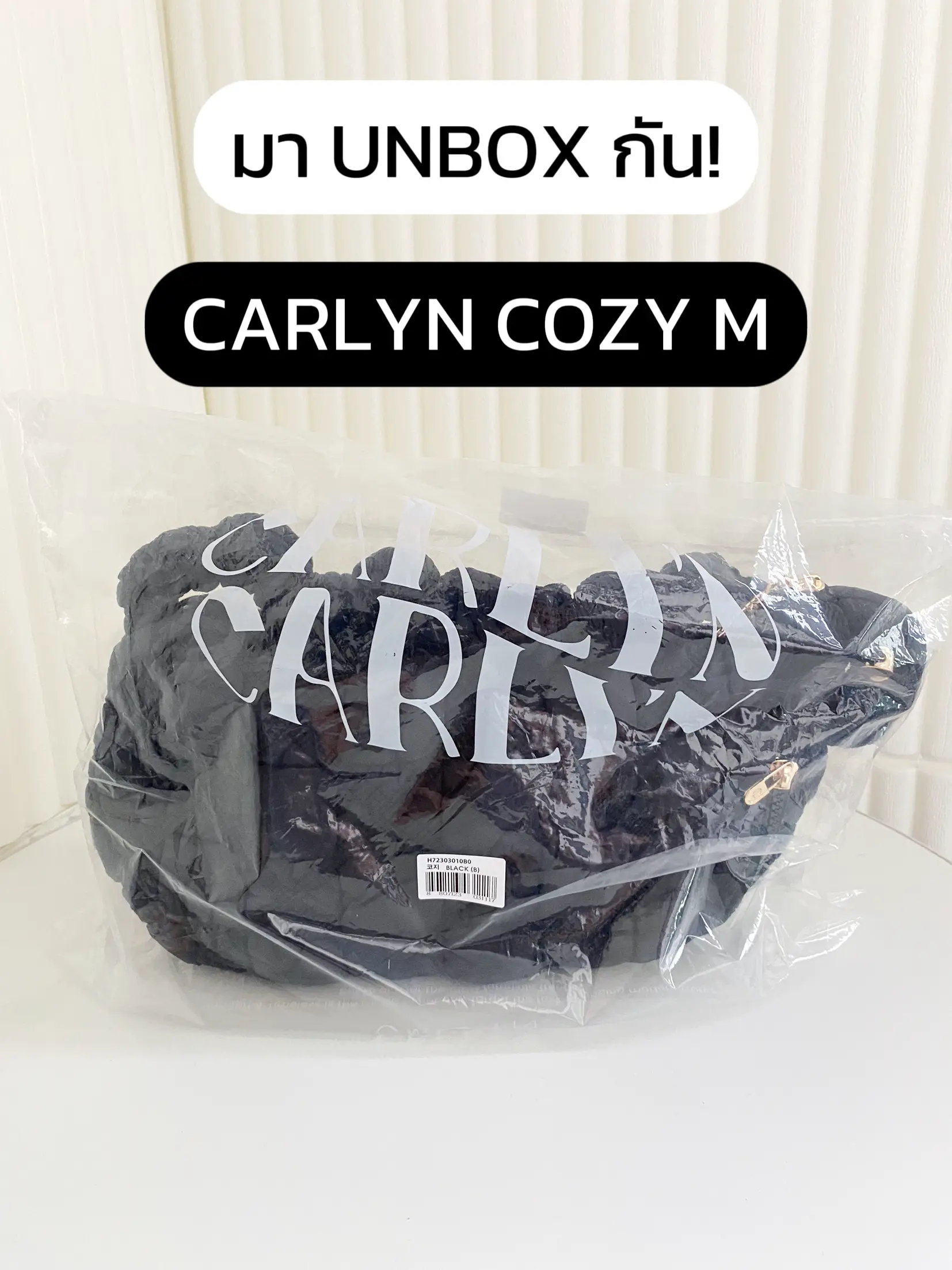 🤩 รีวิวกระเป๋า CARLYN COZY M กระเป๋าทรงฮิตที่ต้องมีสักใบ💖 | แกลเลอรีที่ ...