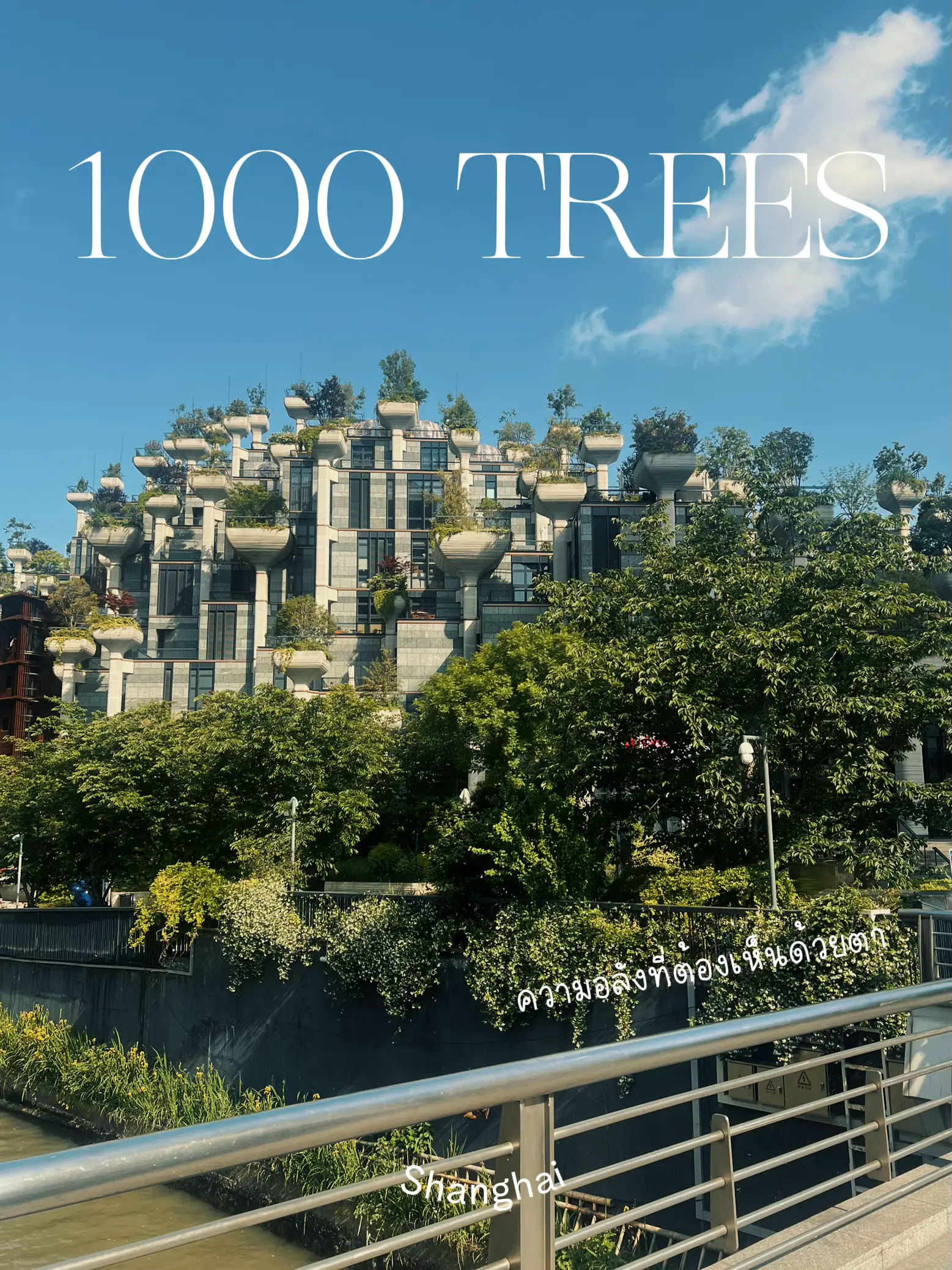 เซี่ยงไฮ้ 1000 Trees 🌳 แลนด์มาร์กที่ต้องมาซักครั้ง 🌟 | แกลเลอรีที่โพสต์โดย Net さん | Lemon8