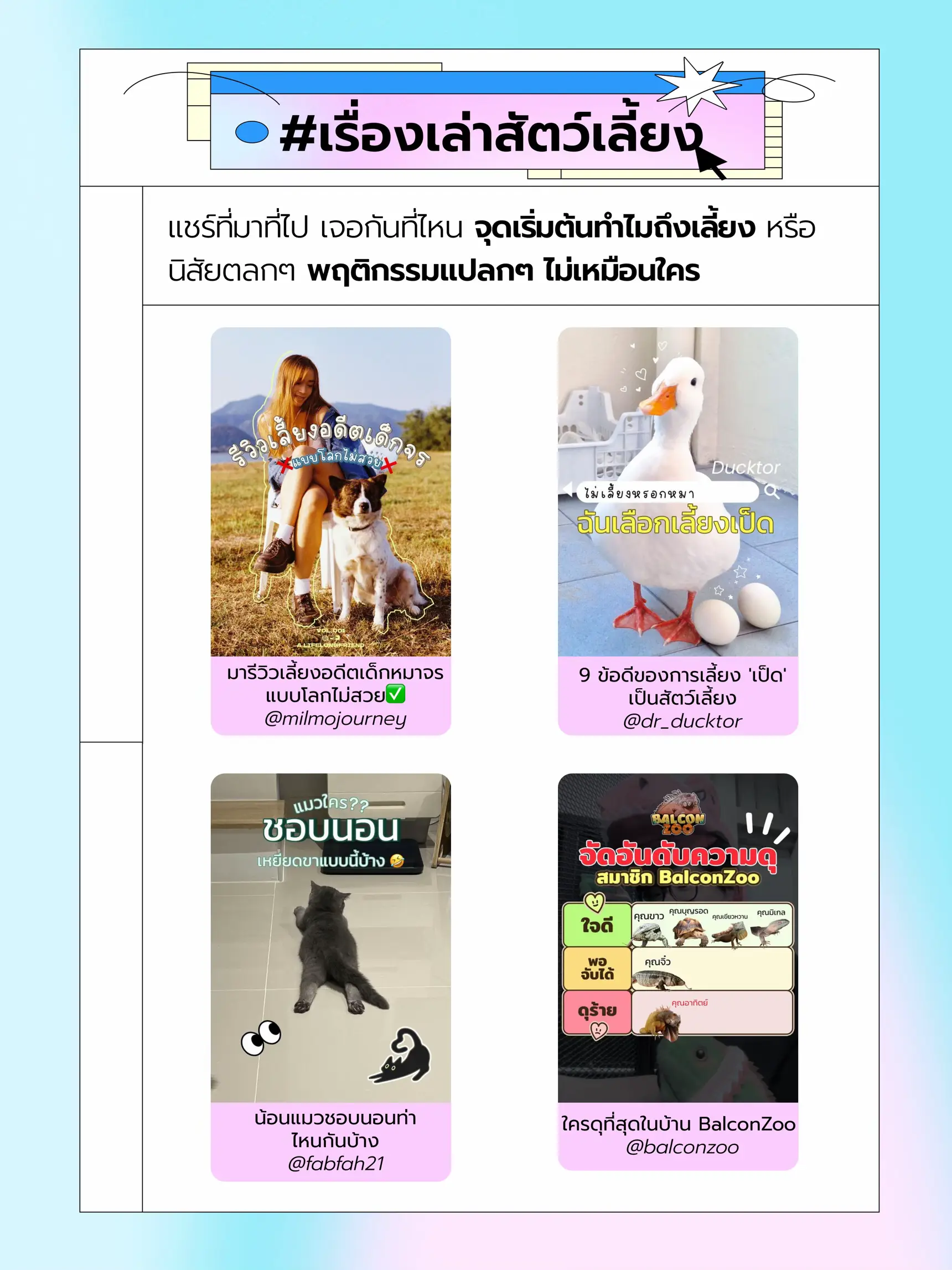 เปิดชมรมคนรักสัตว์เลี้ยง💖 สะสมคะแนนแลกรางวัล🪄 | แกลเลอรีที่โพสต์โดย Lemon8 Pet | Lemon8