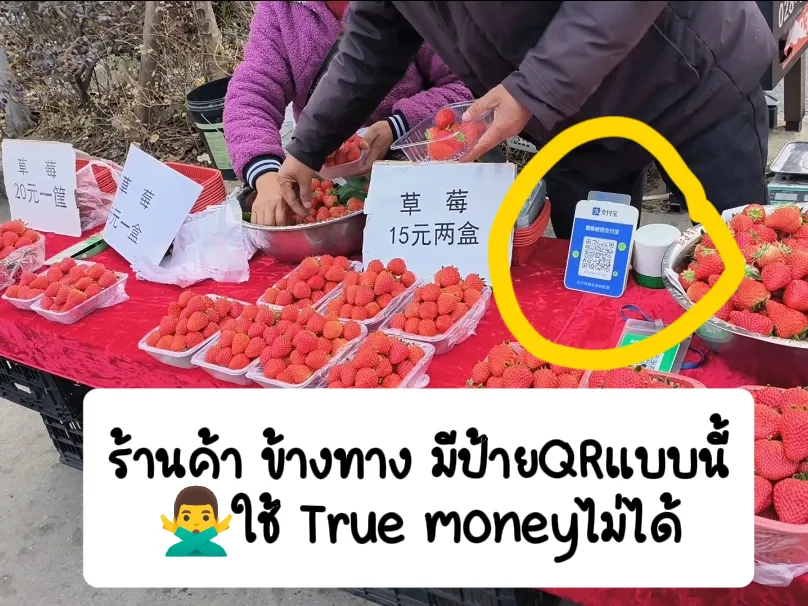 True money walletใช้จ่ายอะไรในจีนได้บ้าง?! | แกลเลอรีที่โพสต์โดย Ging ...