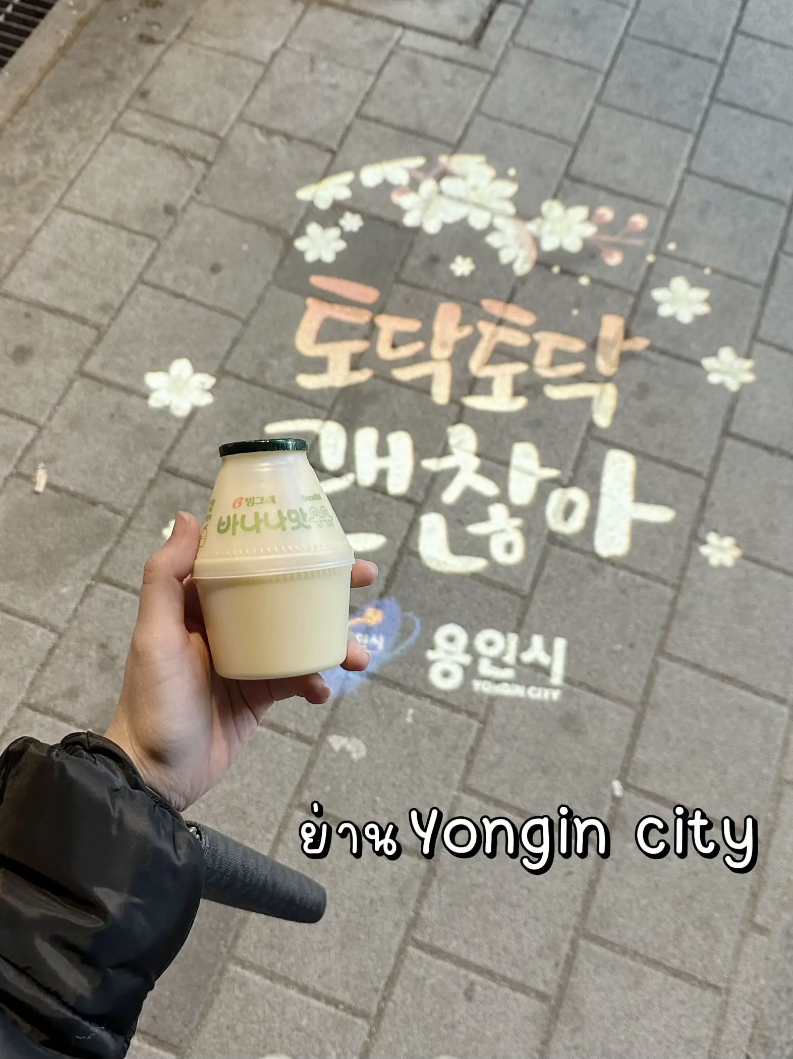 [Korea]แจกแพลน(เที่ยว)ลึก Day1 ไปไหนบ้าง ฉบับทัวร์ | แกลเลอรีที่โพสต์โดย ˚ ༘ Patperries🥯 | Lemon8