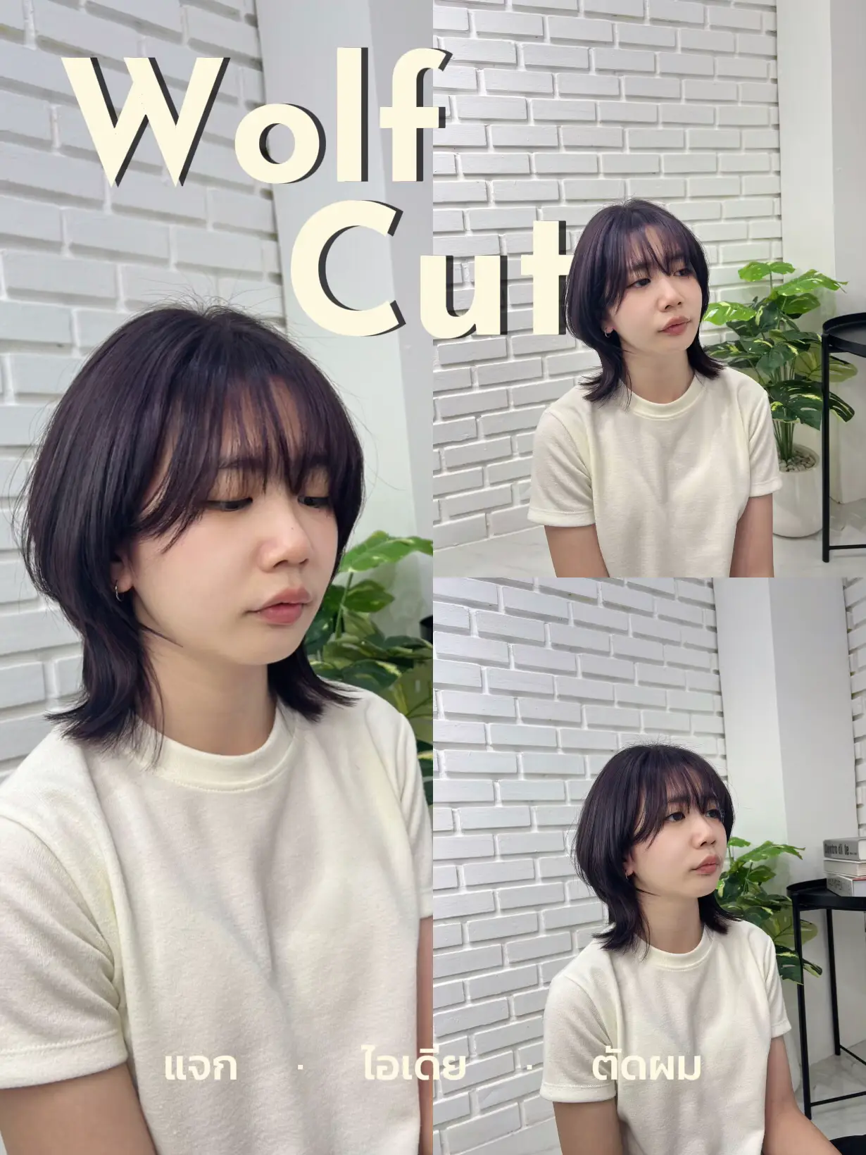 Wolf Cut 💗 | แกลเลอรีที่โพสต์โดย Rabbitholesalon | Lemon8